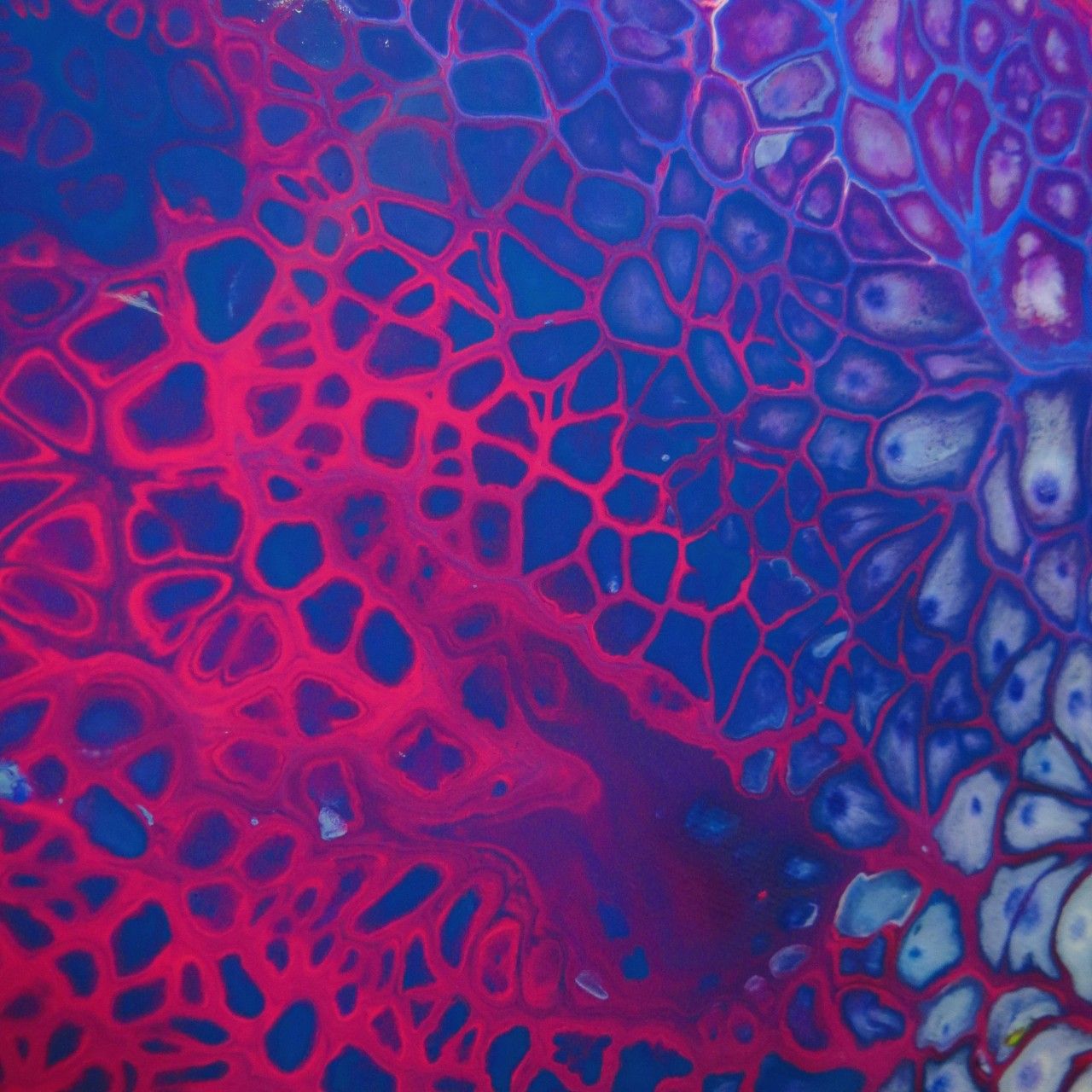 Acrylic Pour Painting : 6 Steps (with Pictures) - Instructables