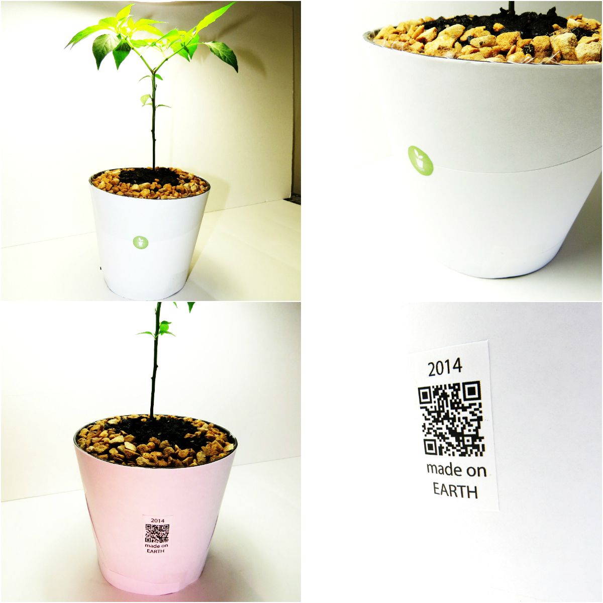 The Plant Pot Basic : 4 Steps - Instructables