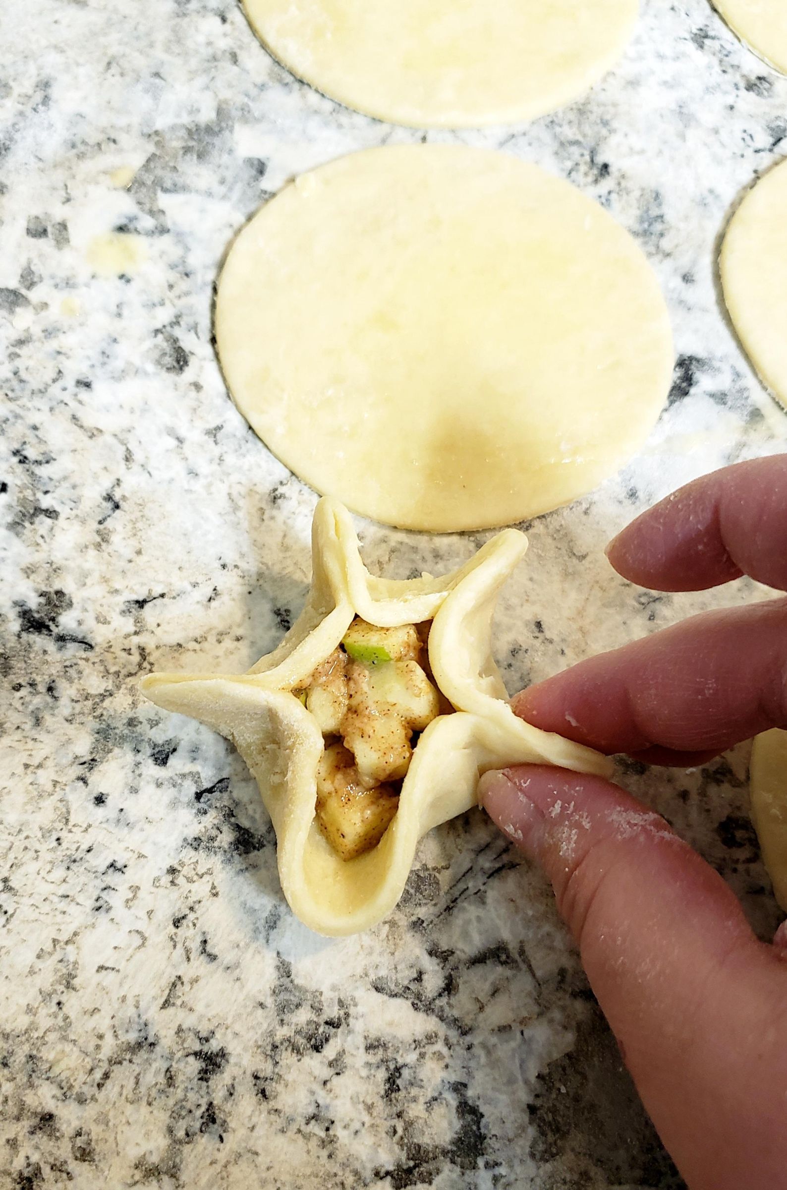 Floral Pinch Pies : 17 Steps (with Pictures) - Instructables