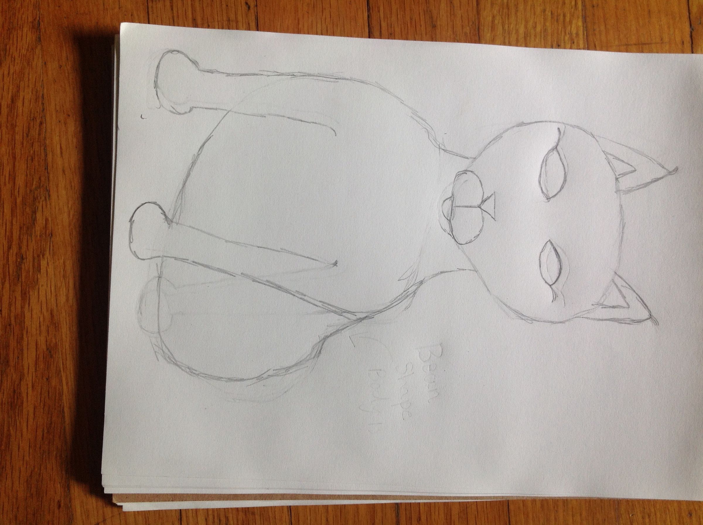 How to Draw a Fat Cat : 9 Steps - Instructables