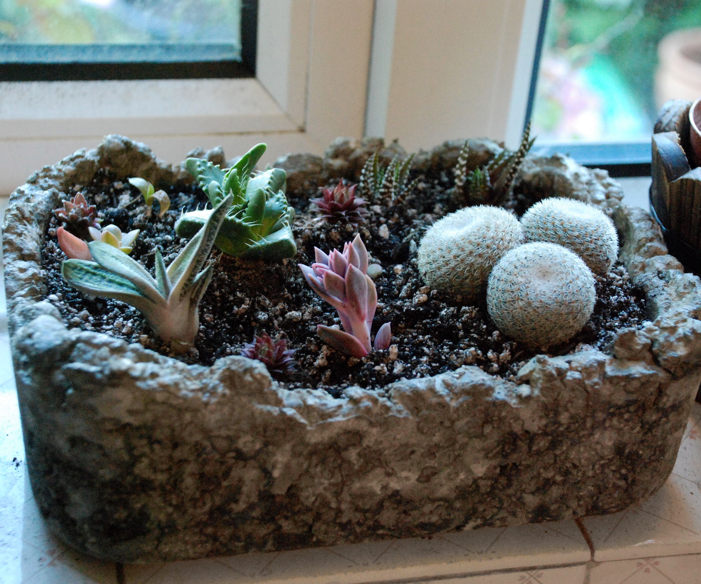 Earth-friendly Creating With Papercrete : 6 Steps (with Pictures ...