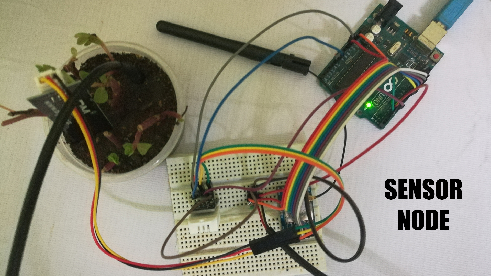 Agri-Stick : 28 Steps (with Pictures) - Instructables