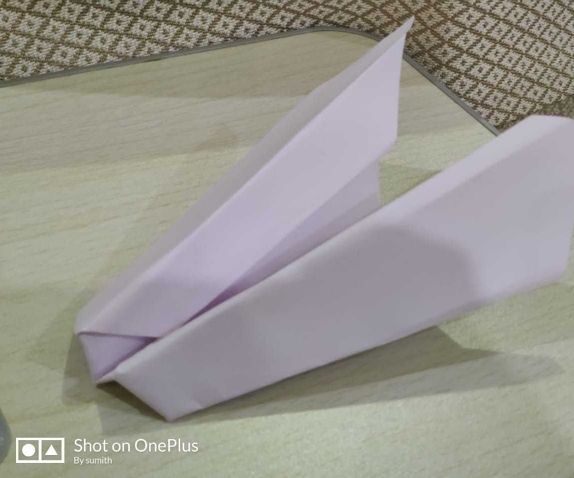 THE BUZZ PLANE : 7 Steps - Instructables