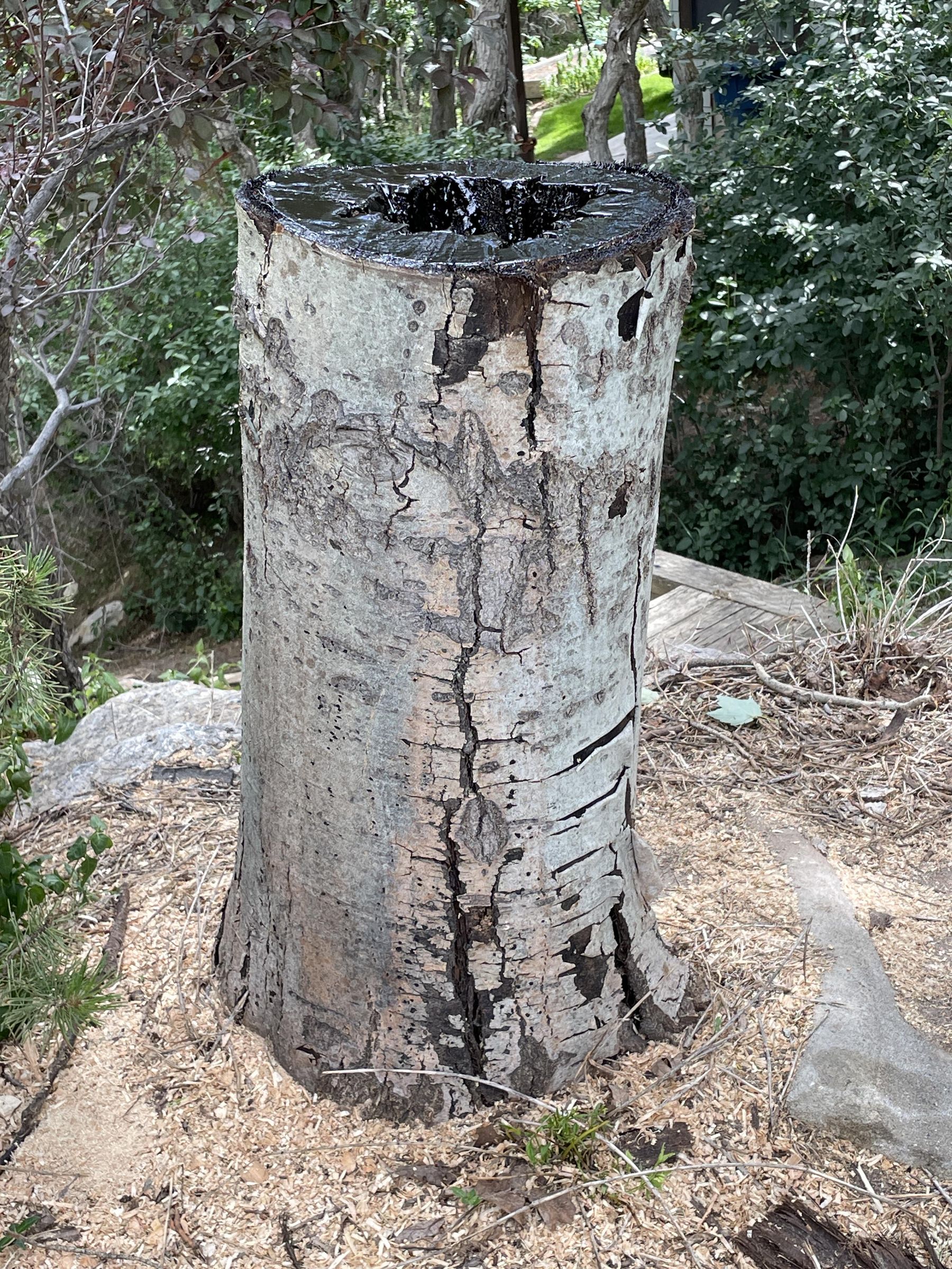 Transform a Tree Stump Into a Planter Box : 11 Steps (with Pictures ...