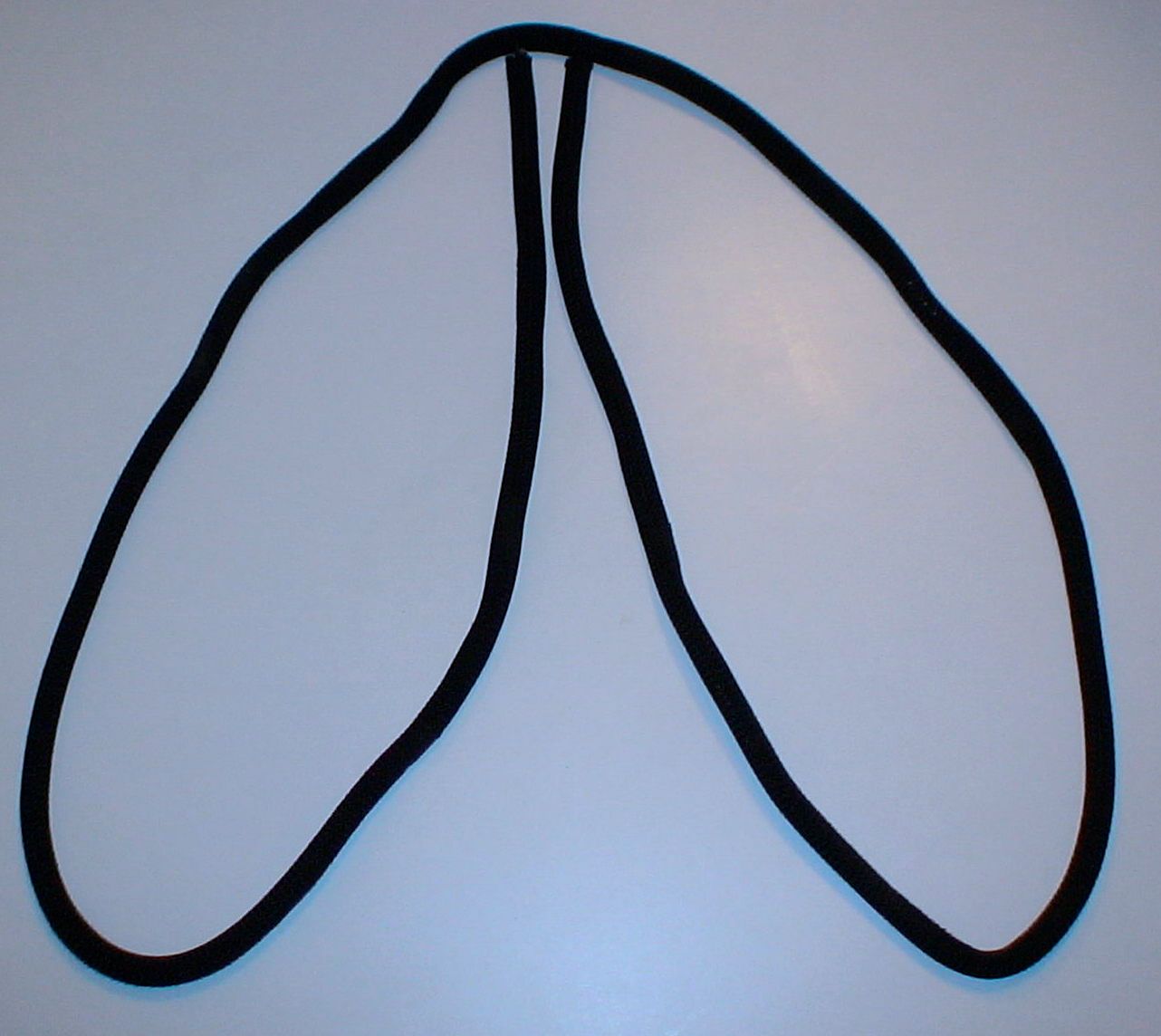 DIY Harness for Climbing : 10 Steps (with Pictures) - Instructables