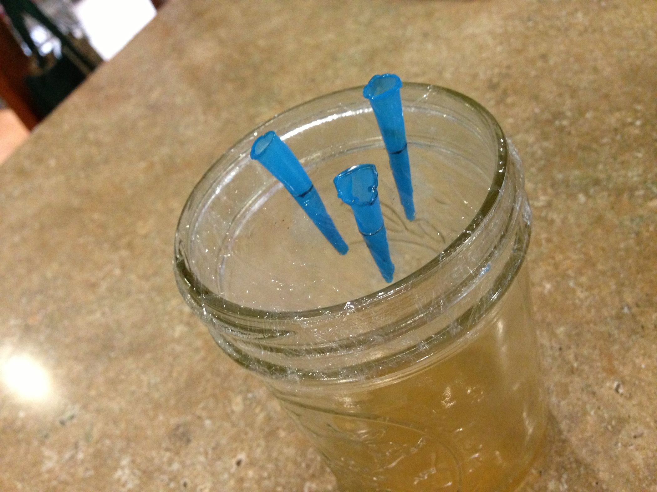 Fruit Fly Annihilator : 6 Steps - Instructables