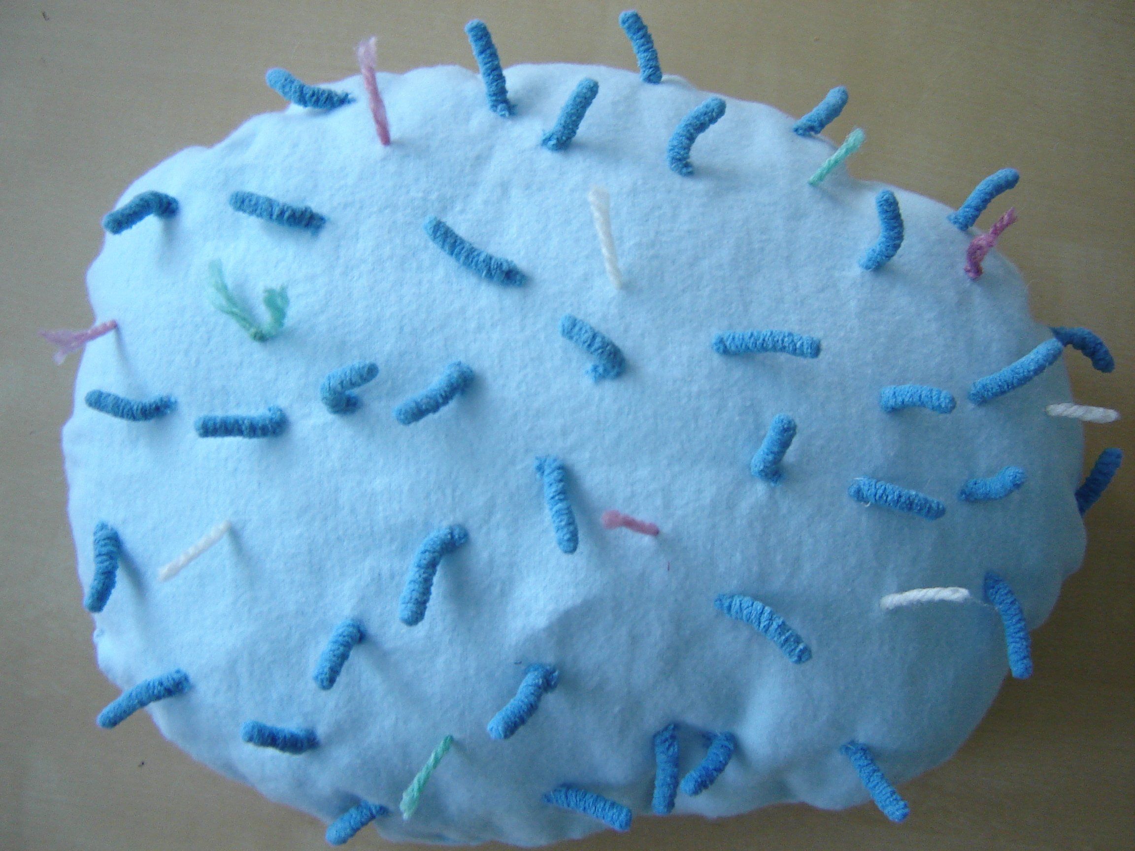 Plush Cell Model : 13 Steps (with Pictures) - Instructables