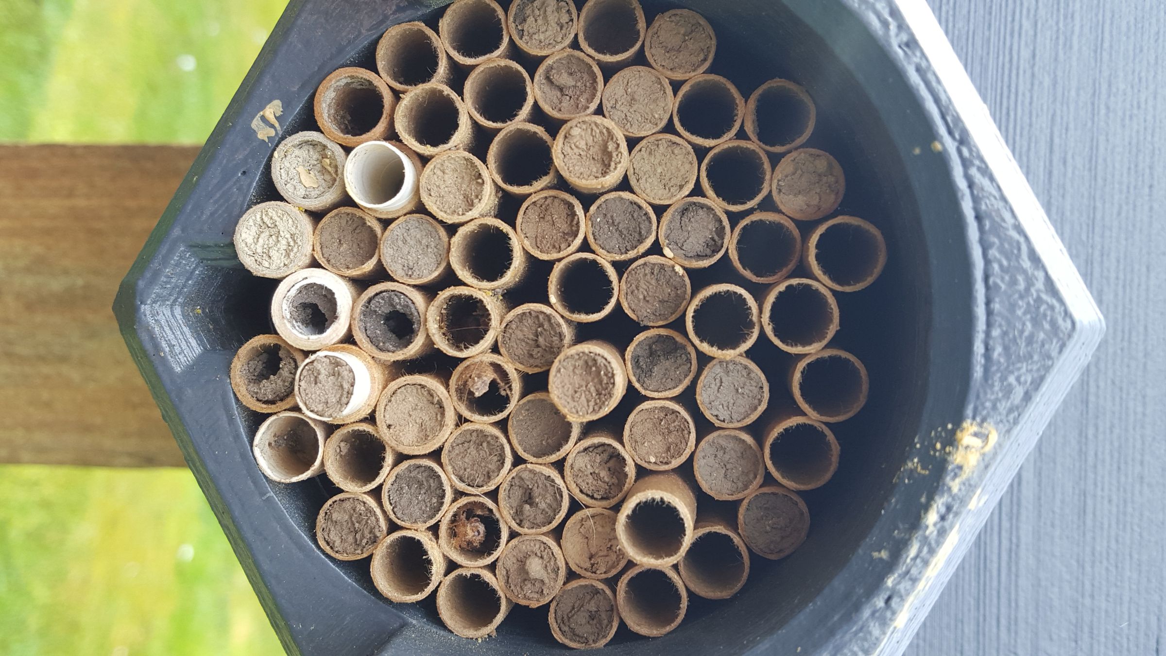 Mason Bee Hive : 3 Steps (with Pictures) - Instructables