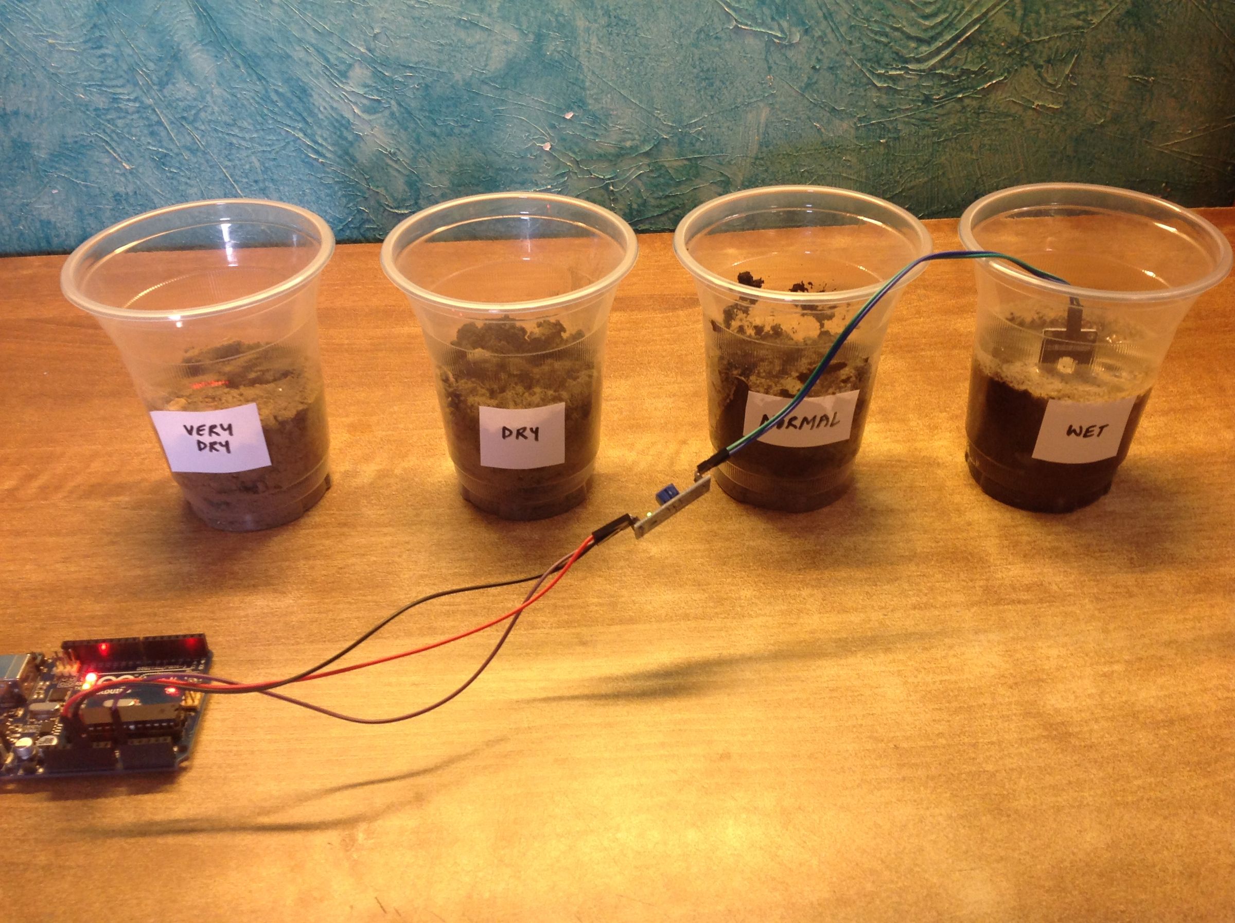 Interactive Plant Mood Detector : 9 Steps (with Pictures) - Instructables