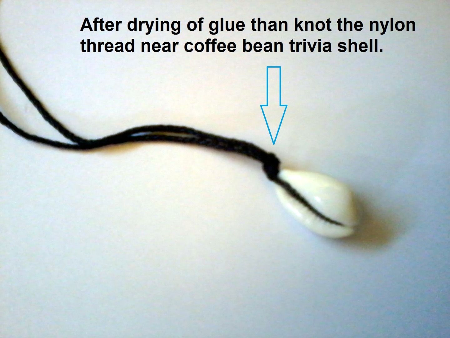 Coffee Bean Trivia Shell - Pendants for Men : 7 Steps - Instructables