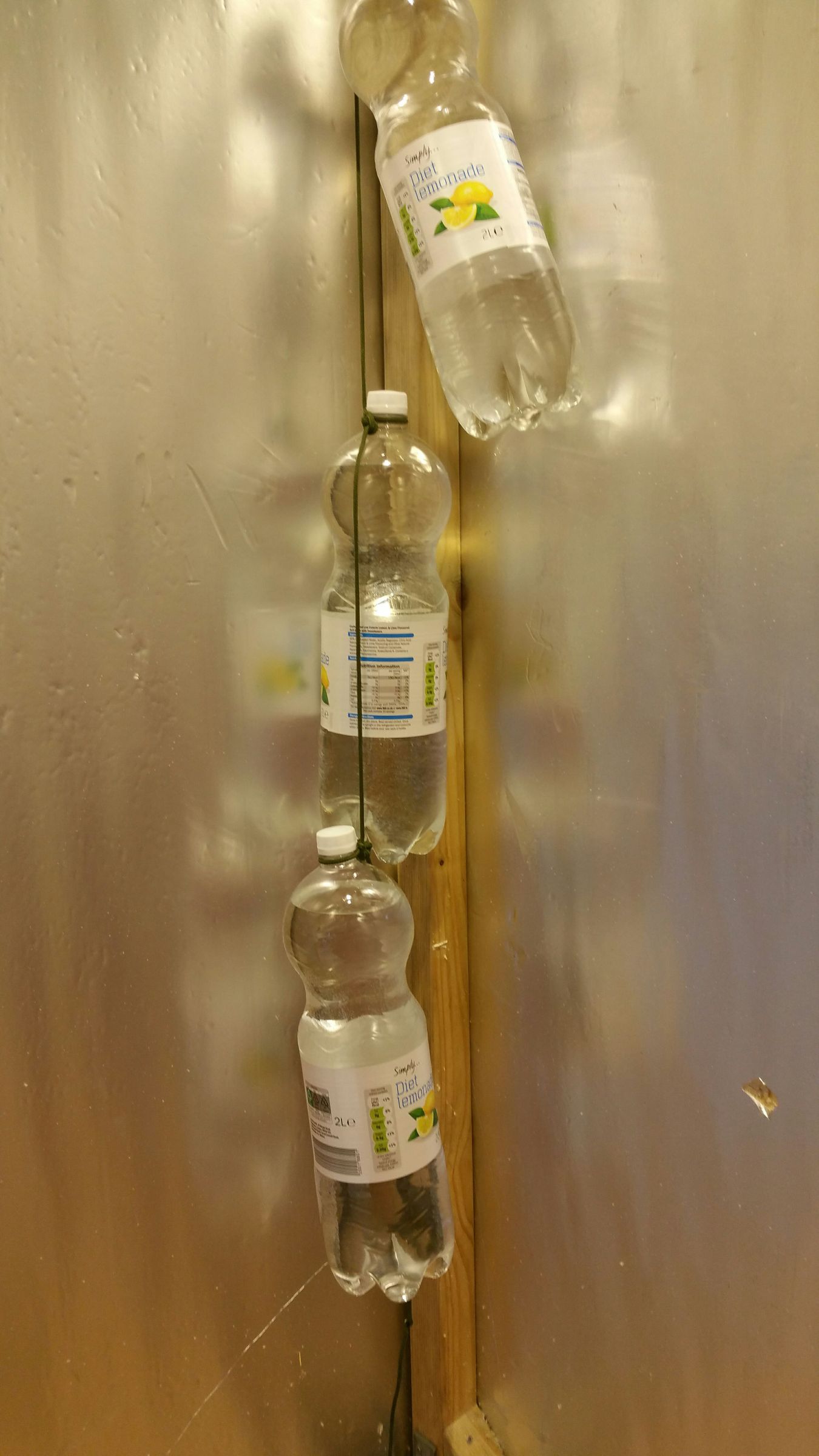 Fly Cage Black Soldier Fly Breeding UK. : 9 Steps (with Pictures ...