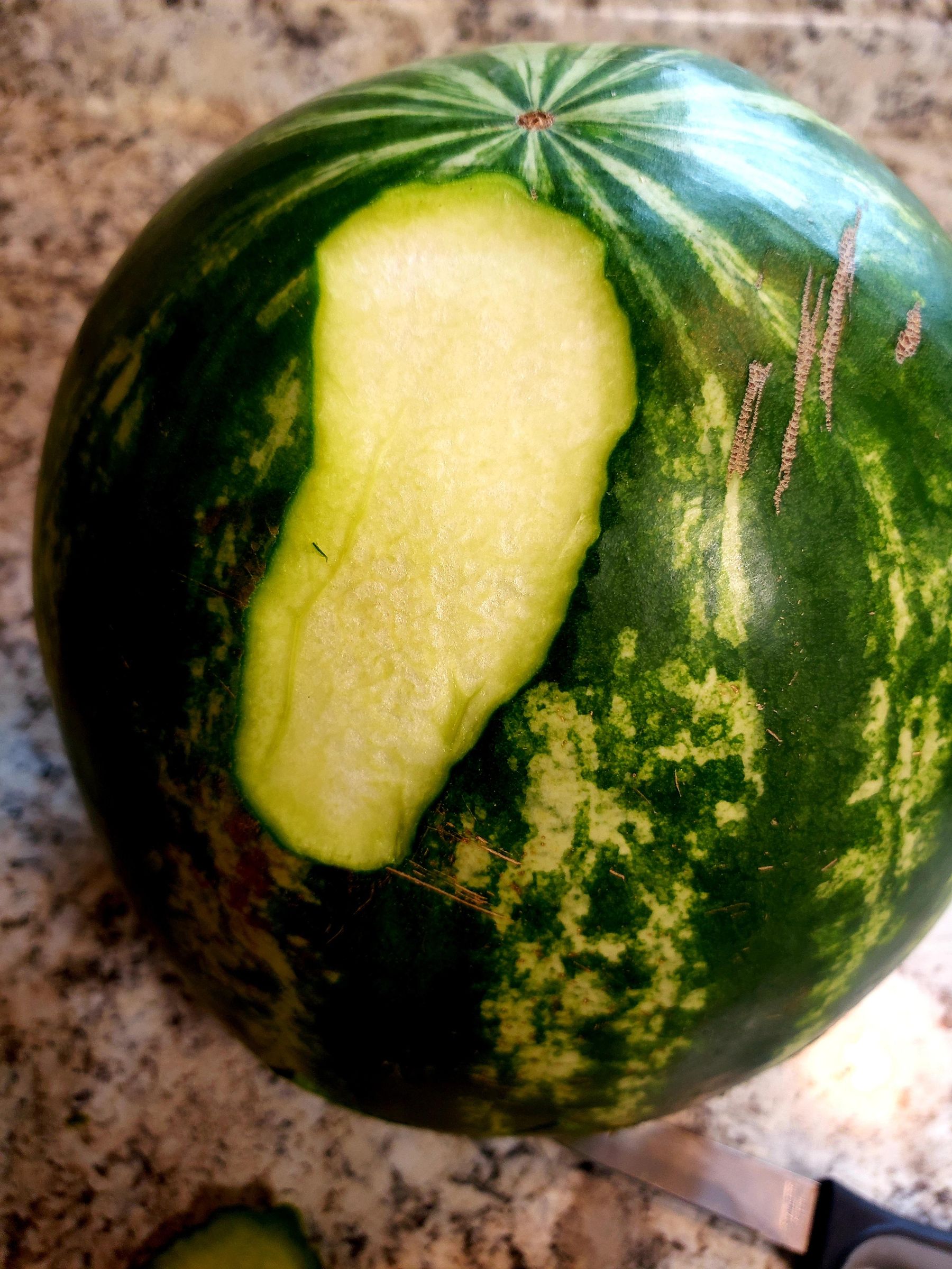 Watermelon Lotus Flower Carving! : 17 Steps (with Pictures) - Instructables