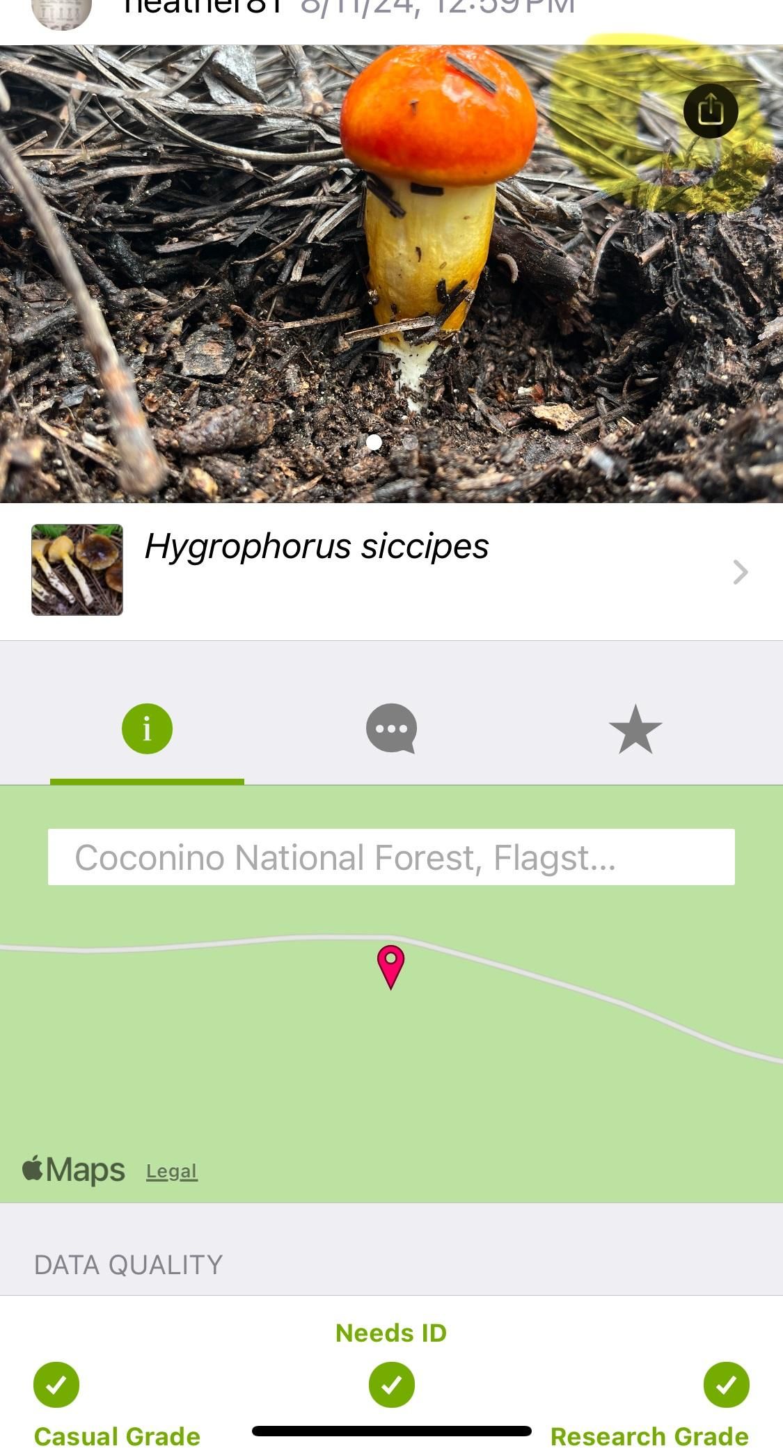 “Discover” a New Mushroom Species : 5 Steps (with Pictures) - Instructables