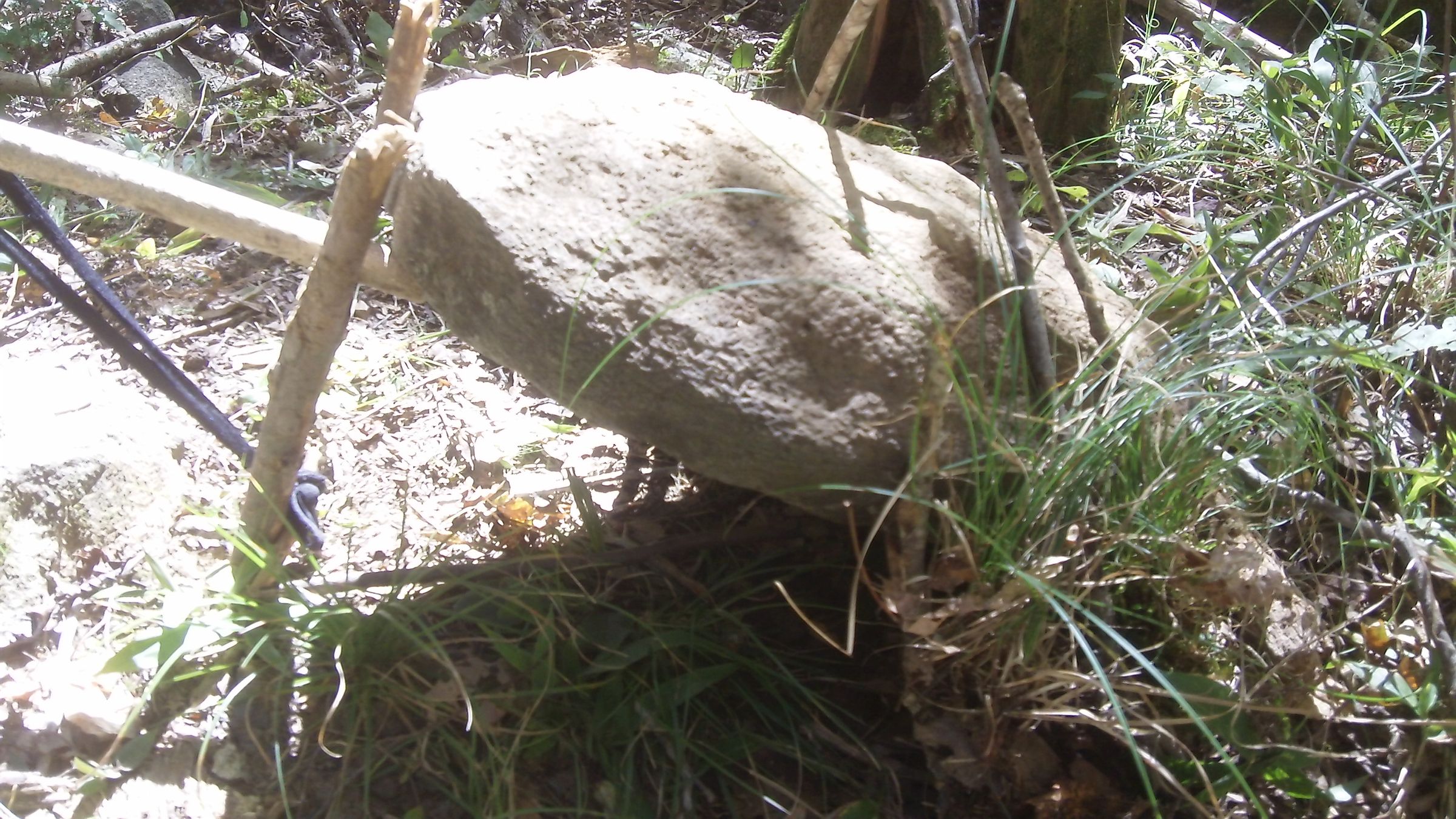 Paiute Deadfall Trap : 6 Steps - Instructables