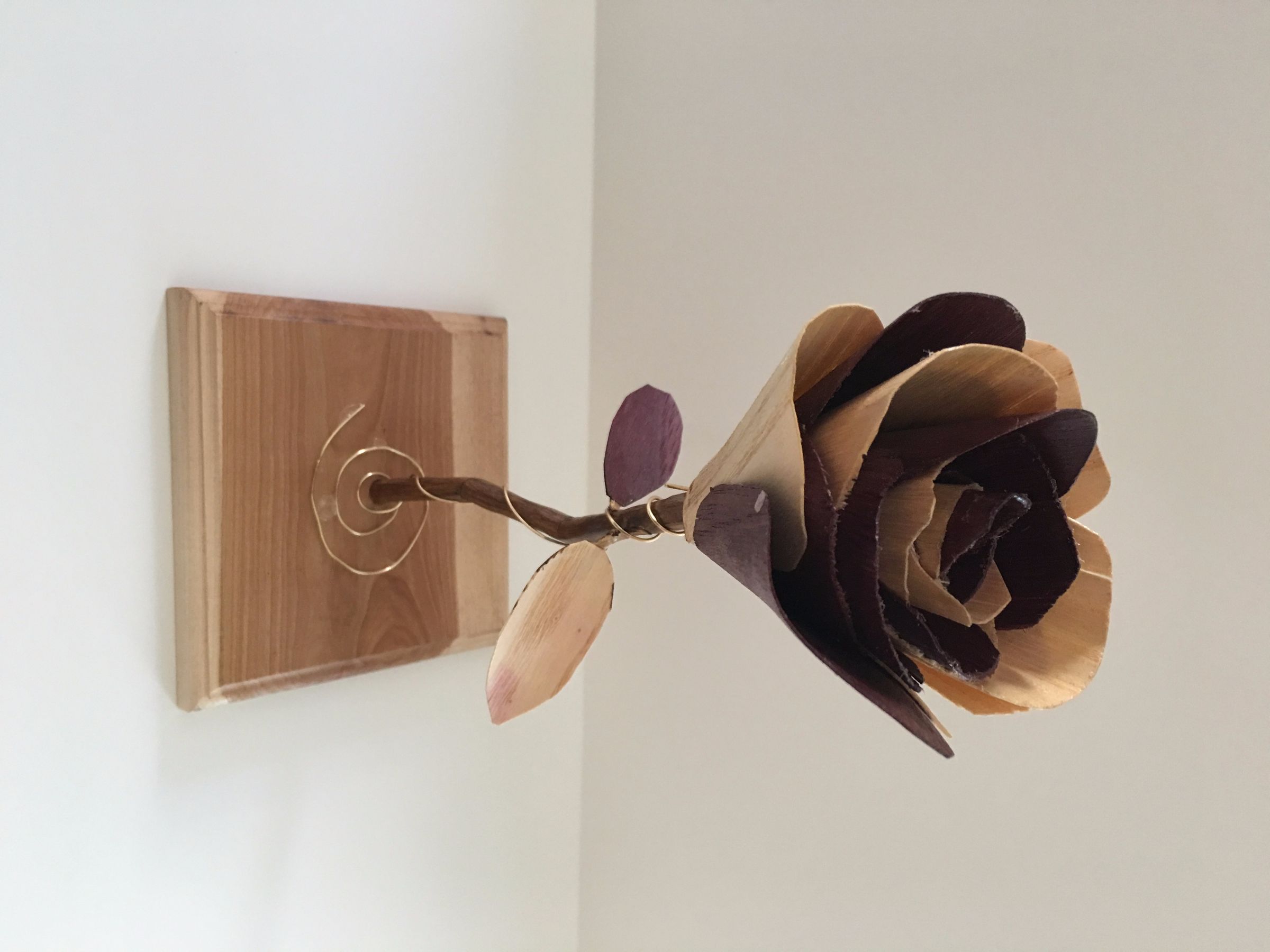 Wood Veneer Rose : 14 Steps (with Pictures) - Instructables