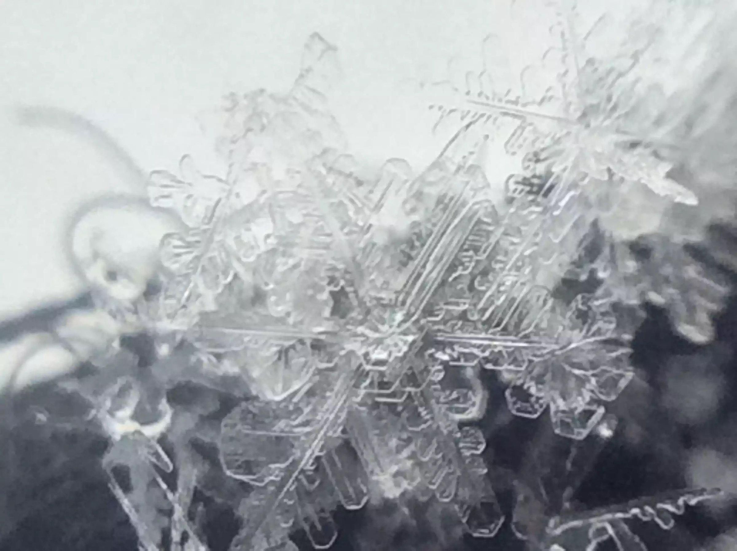 Ice Photography: Mind-blowing Macro : 14 Steps (with Pictures ...