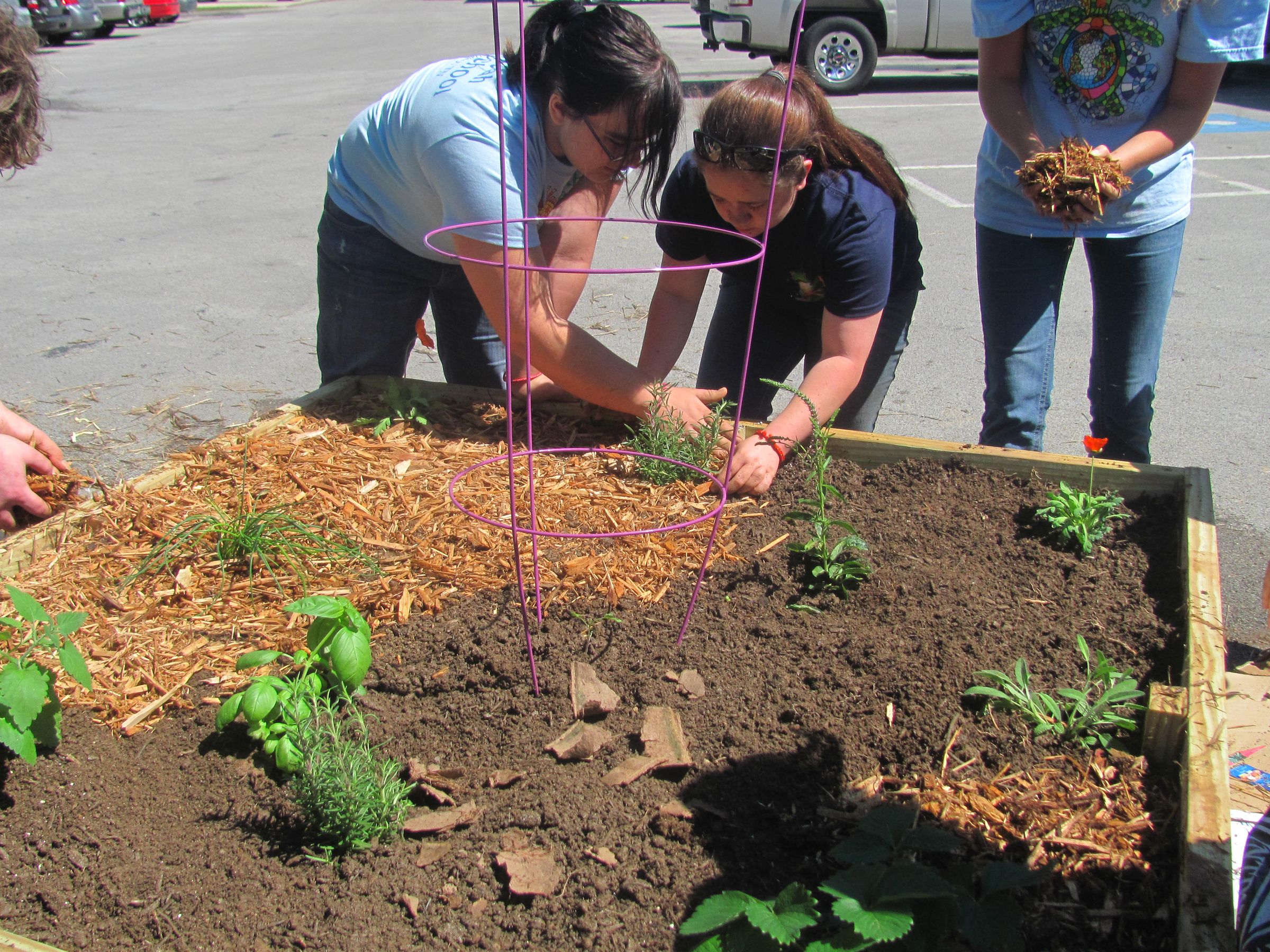 Lasagna Garden From Start to Finish. By: SHS! : 10 Steps - Instructables