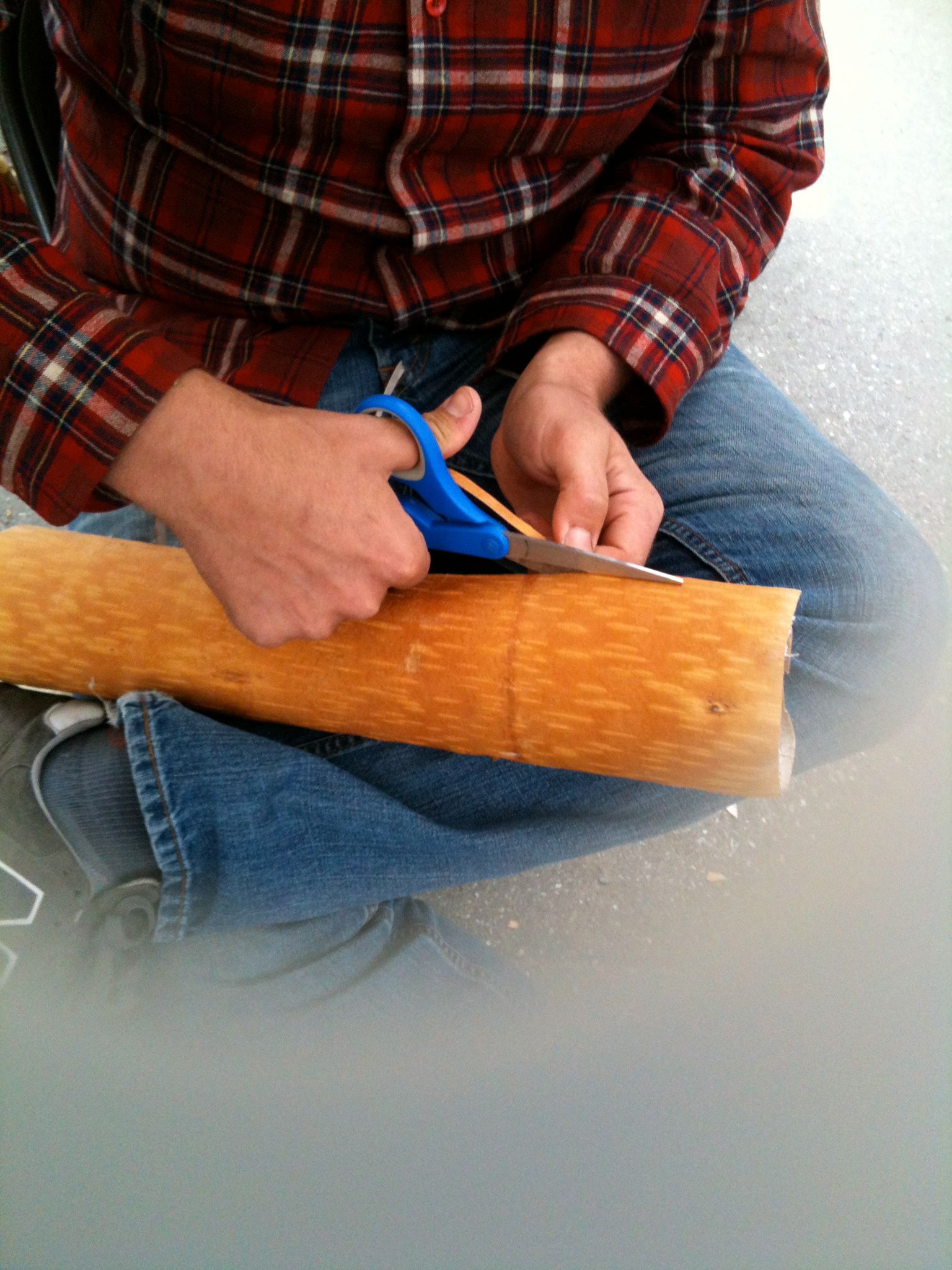 Birch Bark Crown : 11 Steps (with Pictures) - Instructables