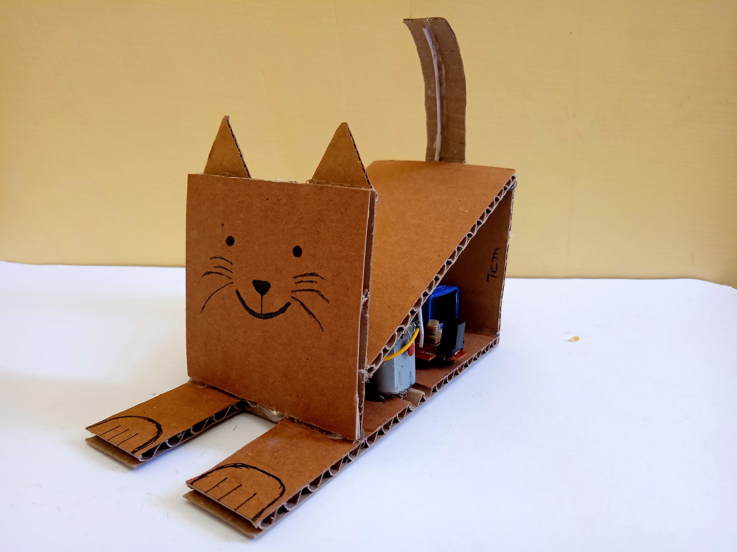 RC Cardboard Cat : 8 Steps (with Pictures) - Instructables