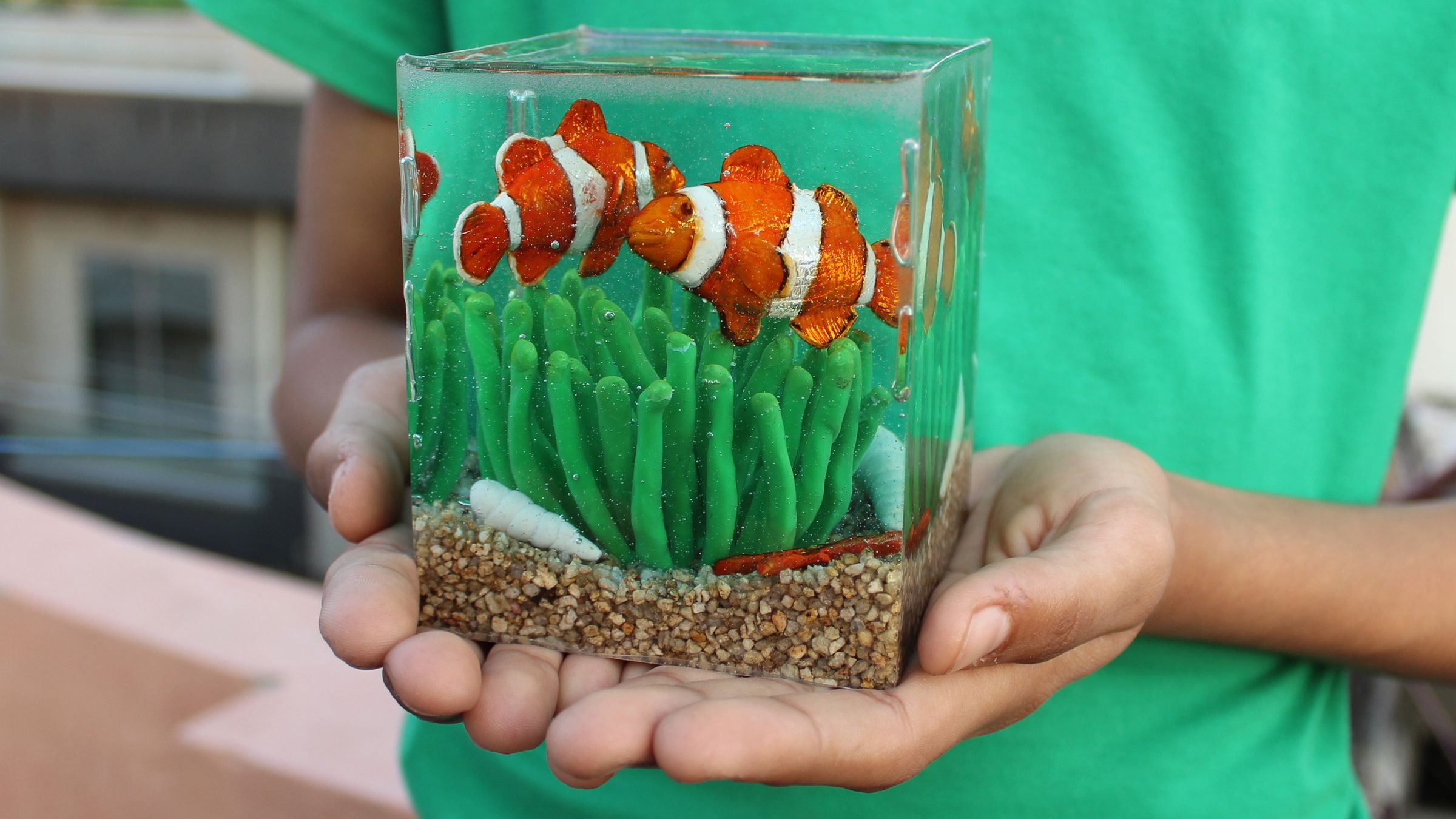 Clown Fish Diorama : 3 Steps - Instructables