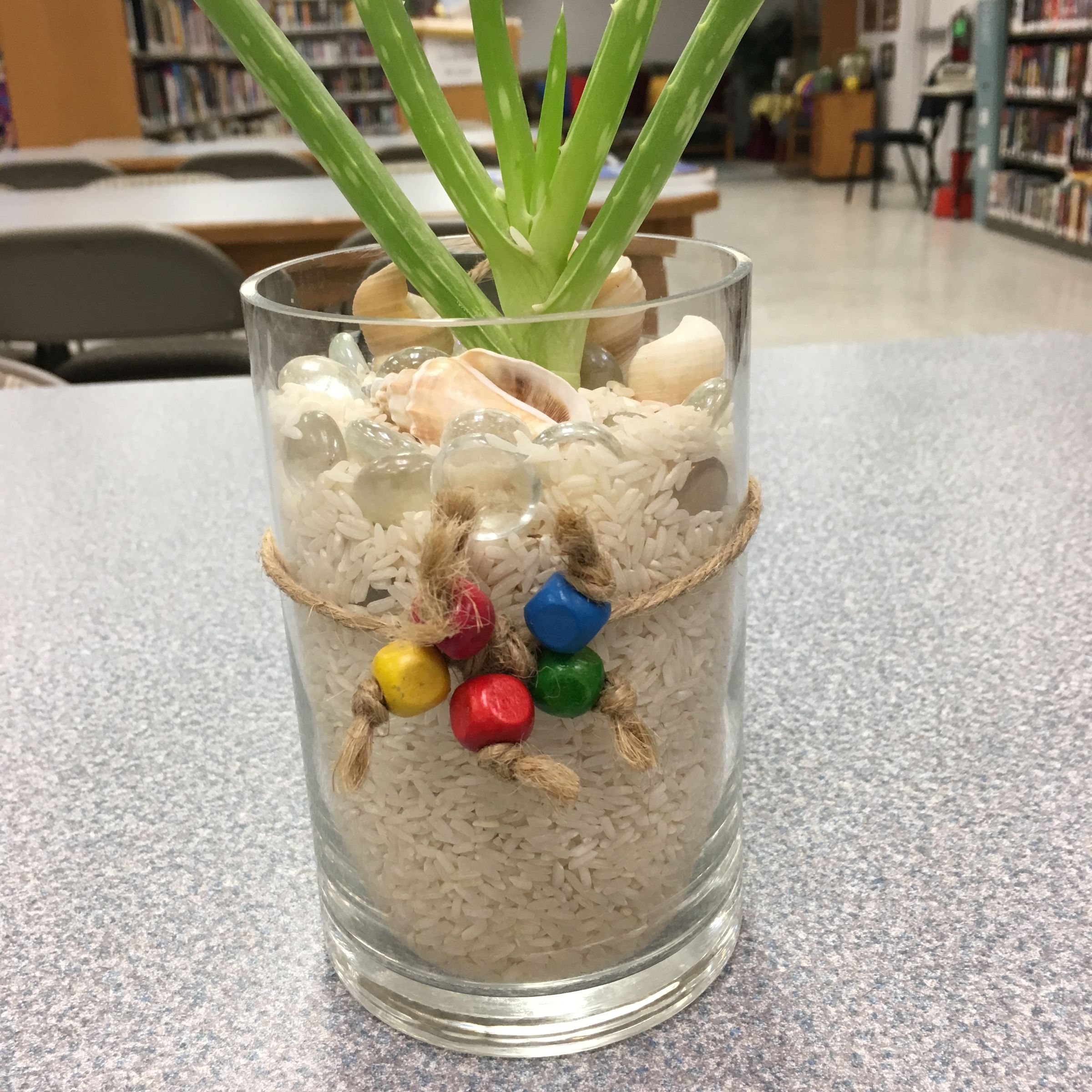 Ornamental Aloe Vera : 4 Steps - Instructables