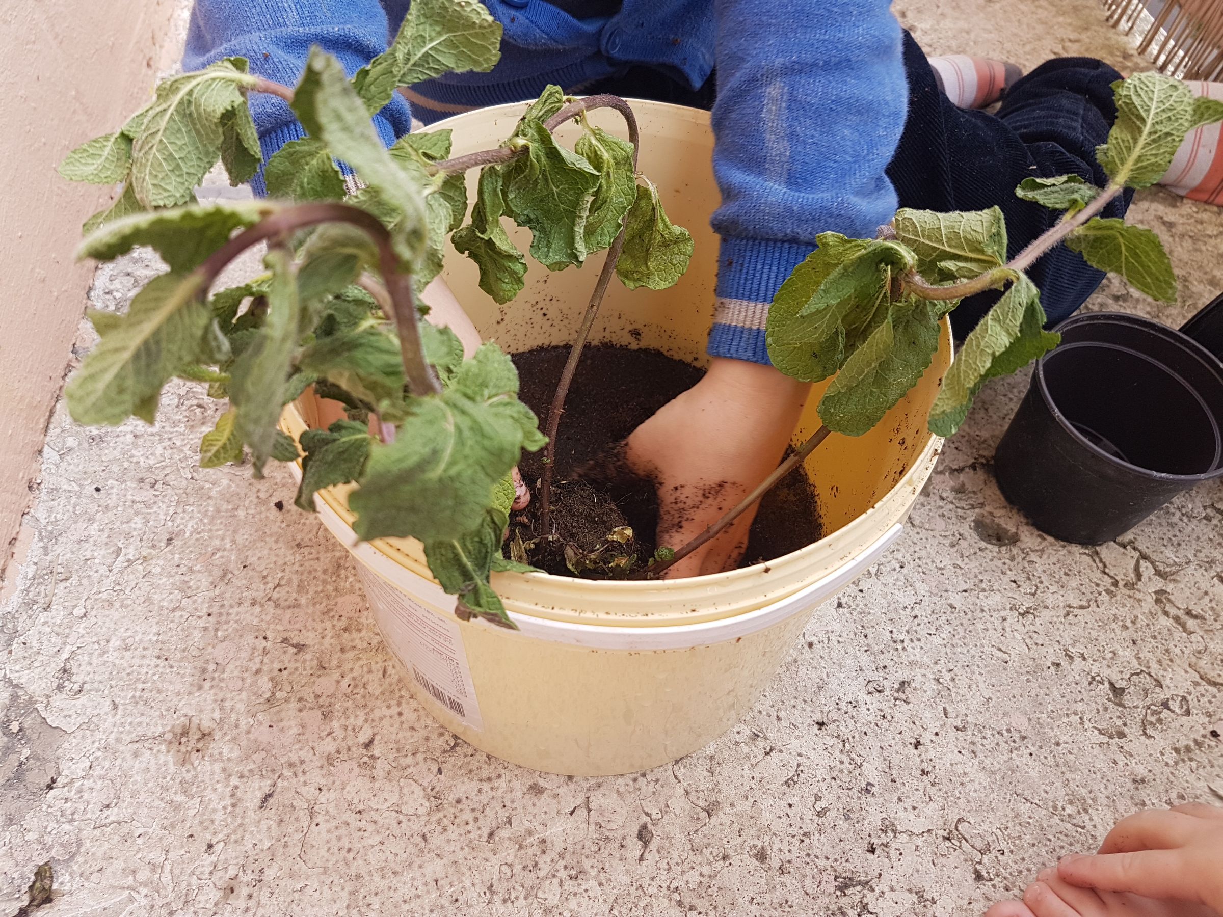 First Timer Hydroponics: the Raft System : 8 Steps (with Pictures ...
