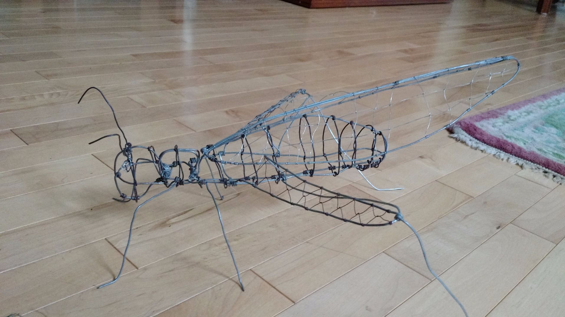 Build a Realistic Insect From Wire : 5 Steps (with Pictures ...