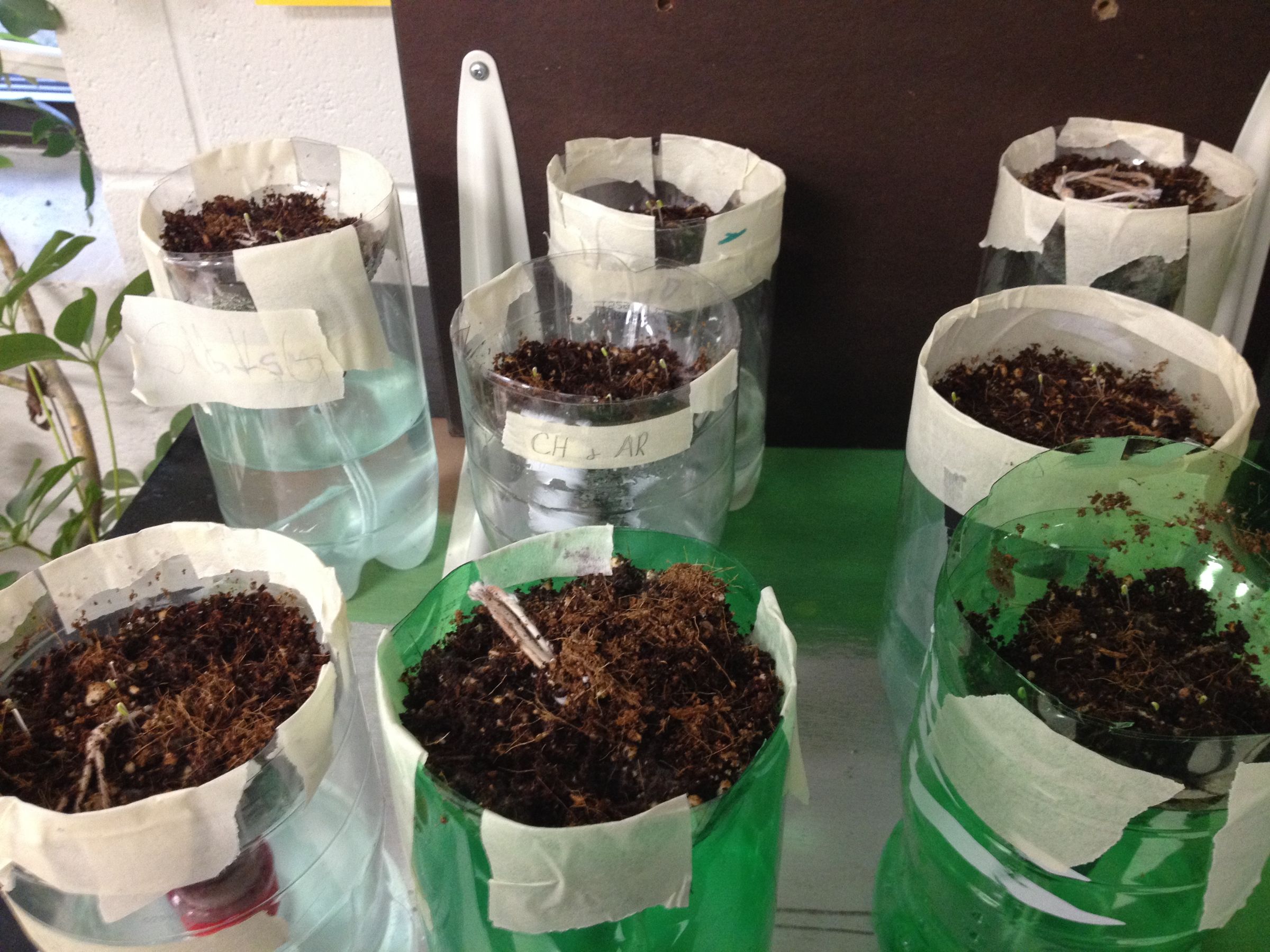 Simple Hydroponics Wick System : 6 Steps (with Pictures) - Instructables