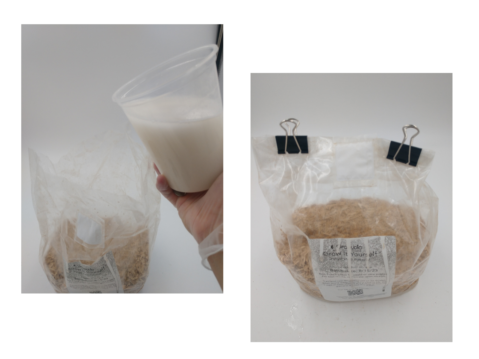 Growing Mycelium in the Classroom and Making Stuff With It ...