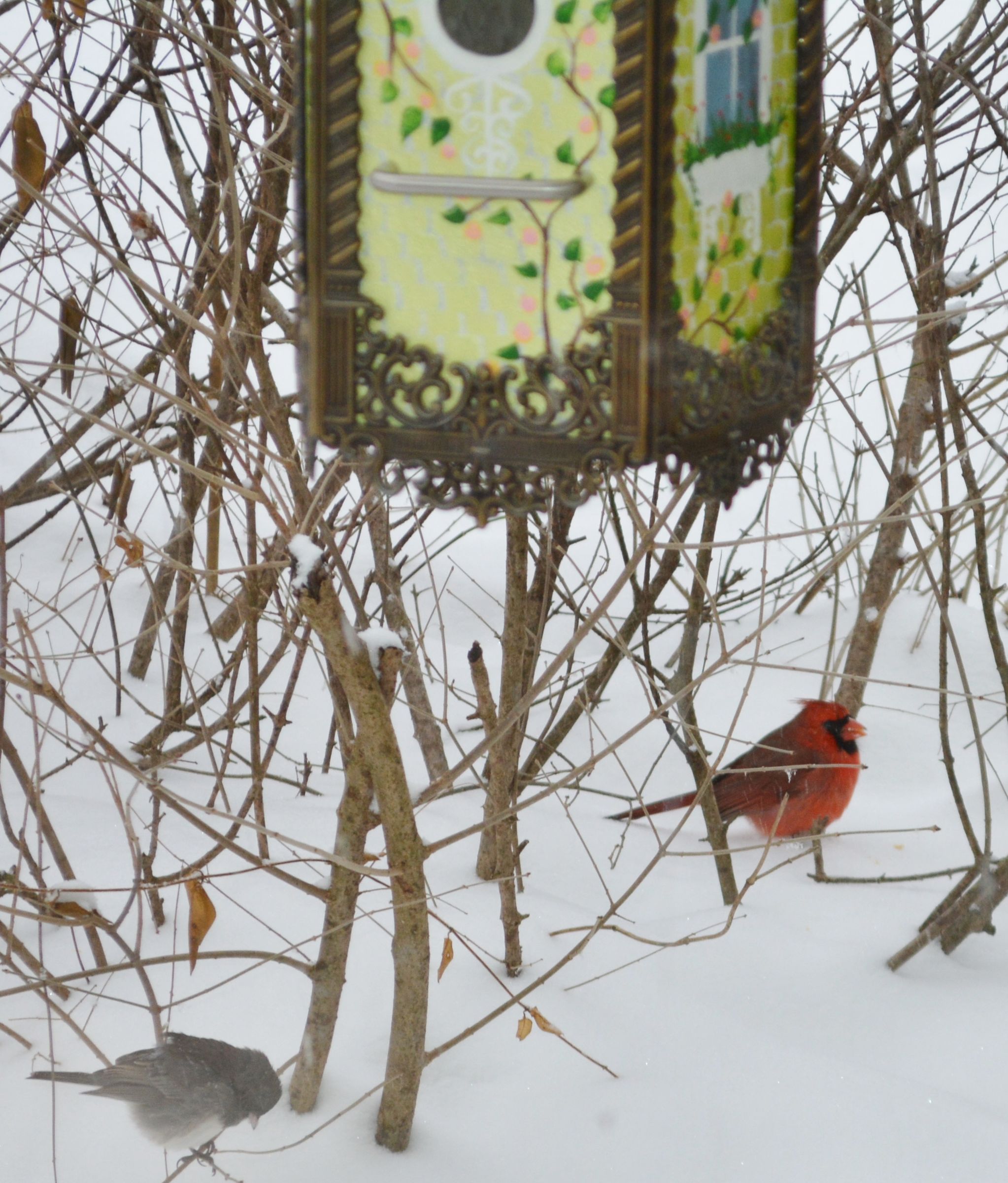PORCH LIGHT BIRDHOUSE: : 5 Steps (with Pictures) - Instructables