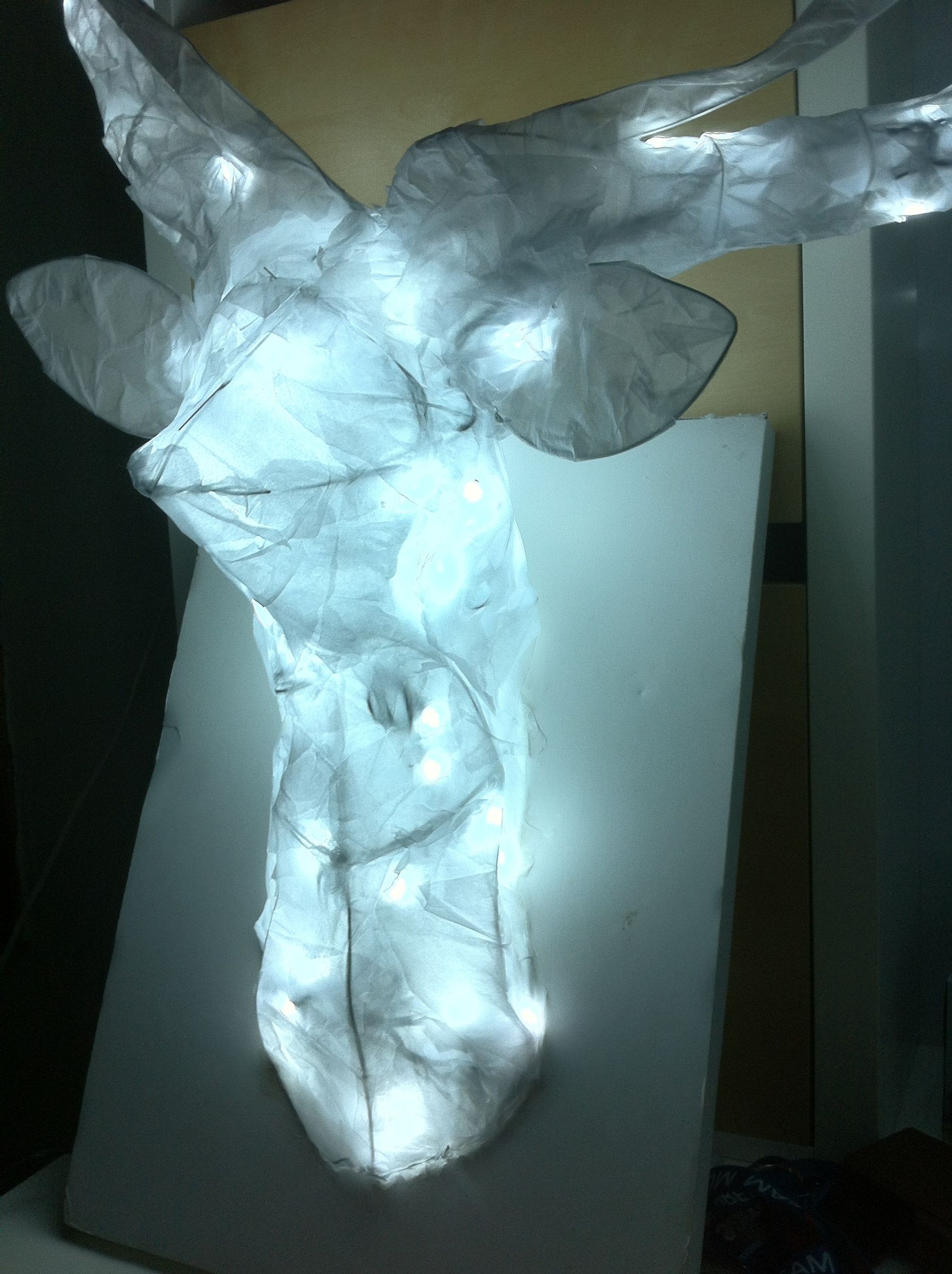 Wall Trophy Lamp : 6 Steps (with Pictures) - Instructables