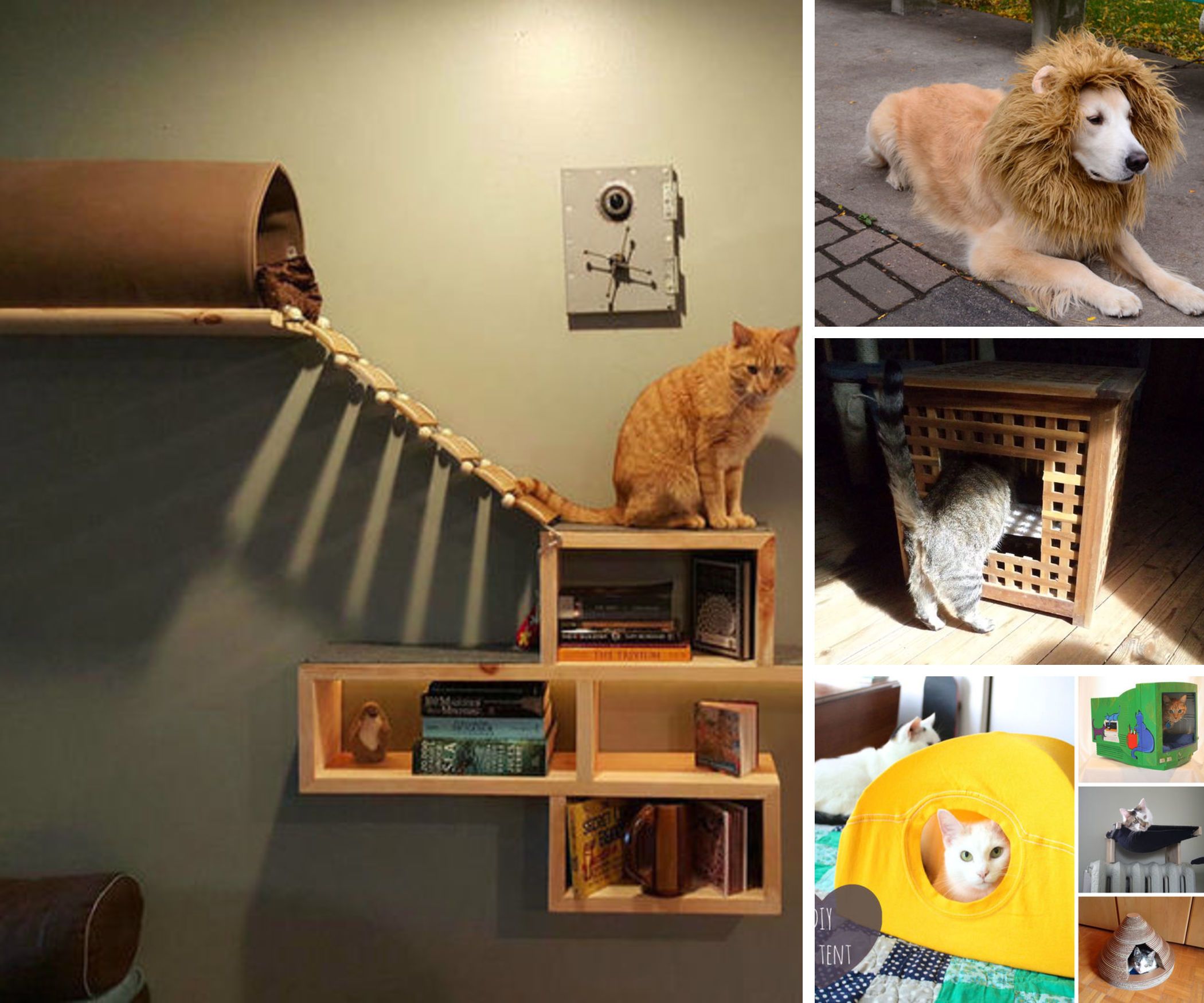 Cat Stuff - Instructables