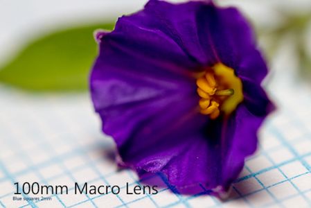 How to Make a Flash Diffuser for Macro Photography : 6 Steps (with ...