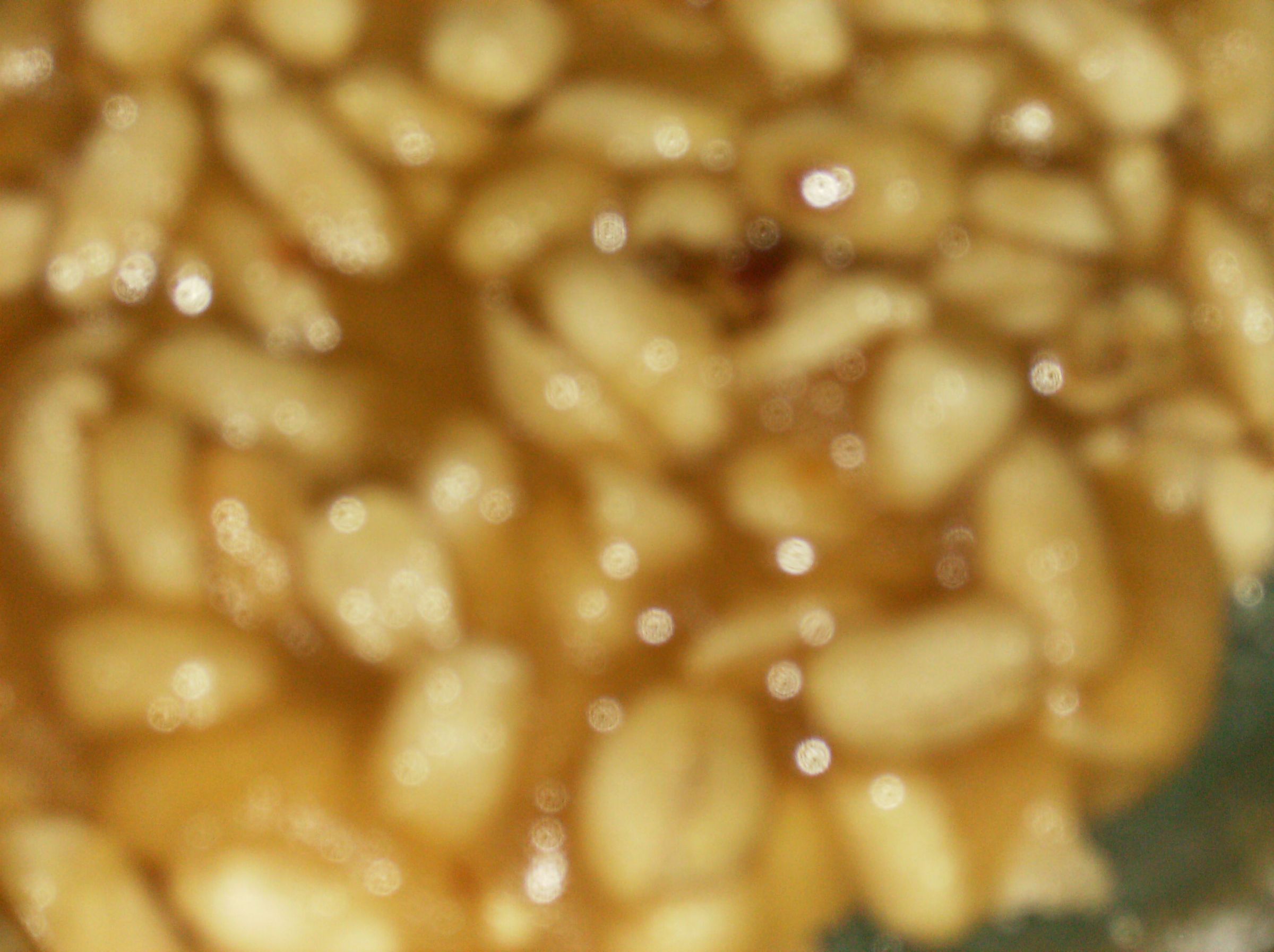 Edible Chemistry From the Microwave! : 5 Steps - Instructables