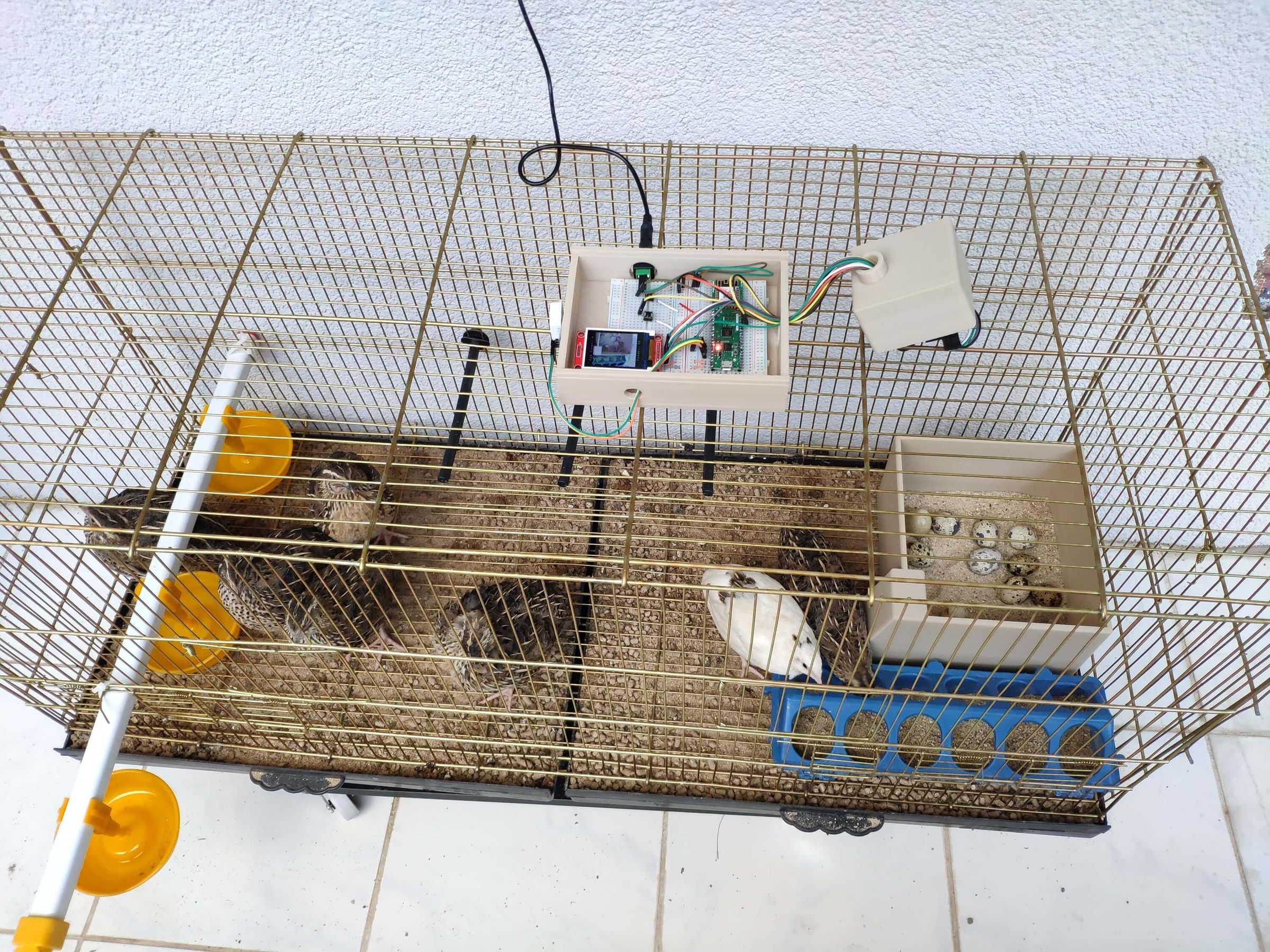 IoT AI-driven Poultry Feeder and Unhatched Egg Tracker W/ WhatsApp : 20 ...