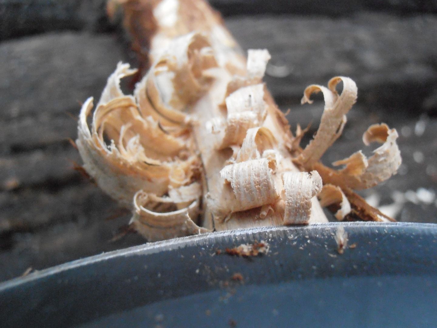 How to Make a Fire With Wet Wood : 3 Steps (with Pictures) - Instructables