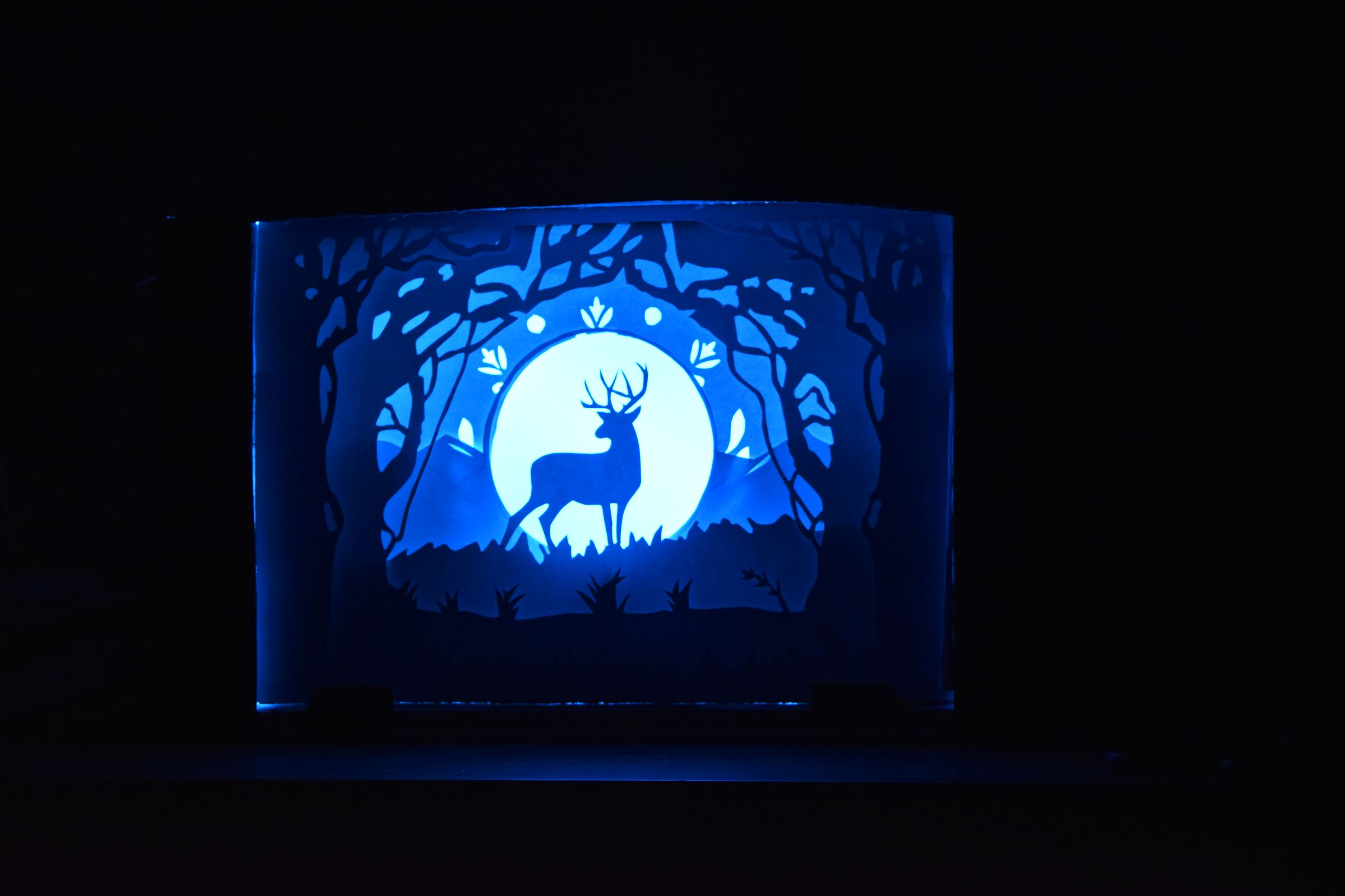 Illuminated Diorama : 7 Steps (with Pictures) - Instructables
