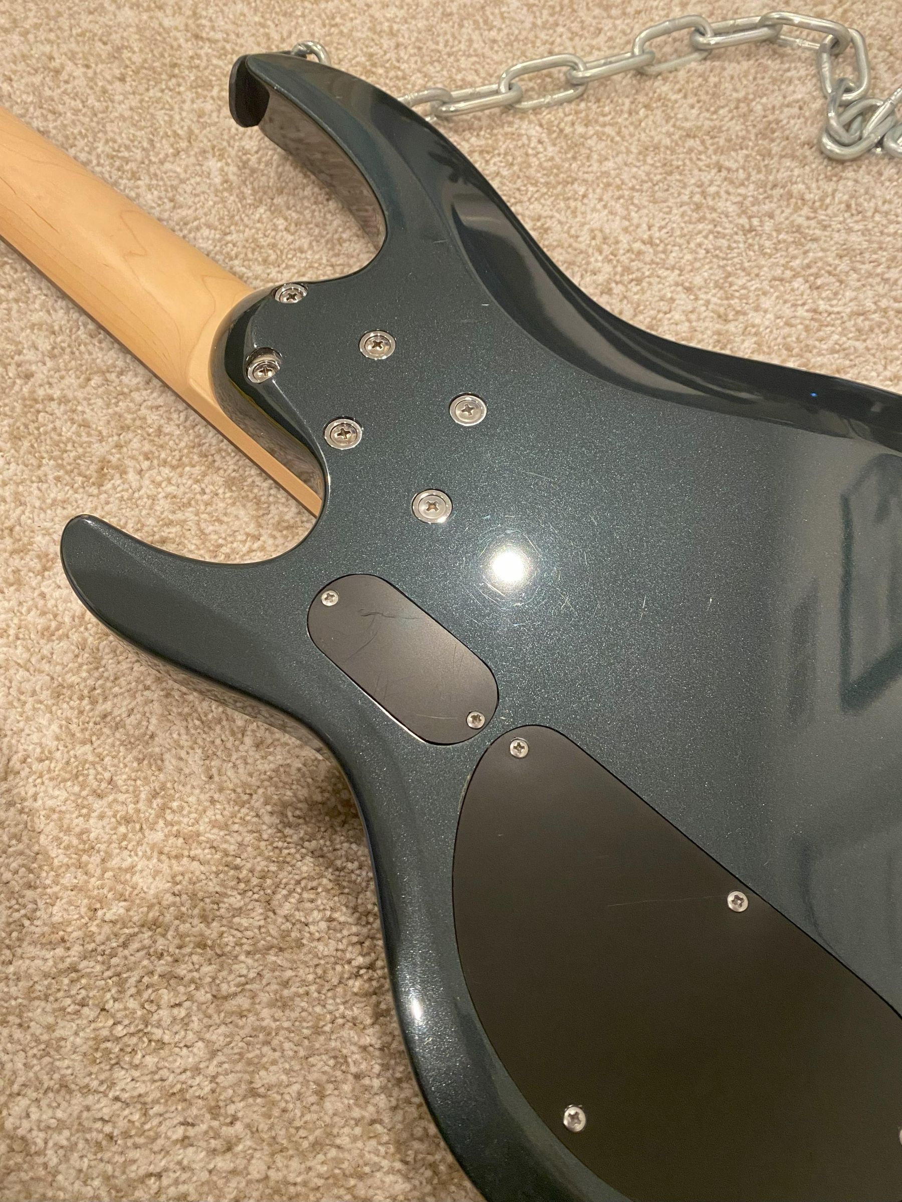 Bass Care 101: the Complete Guide to Basic Bass Care and Maintenance ...