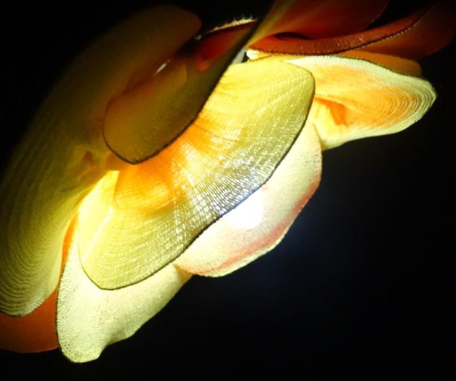 Flower Lamp!! : 5 Steps - Instructables