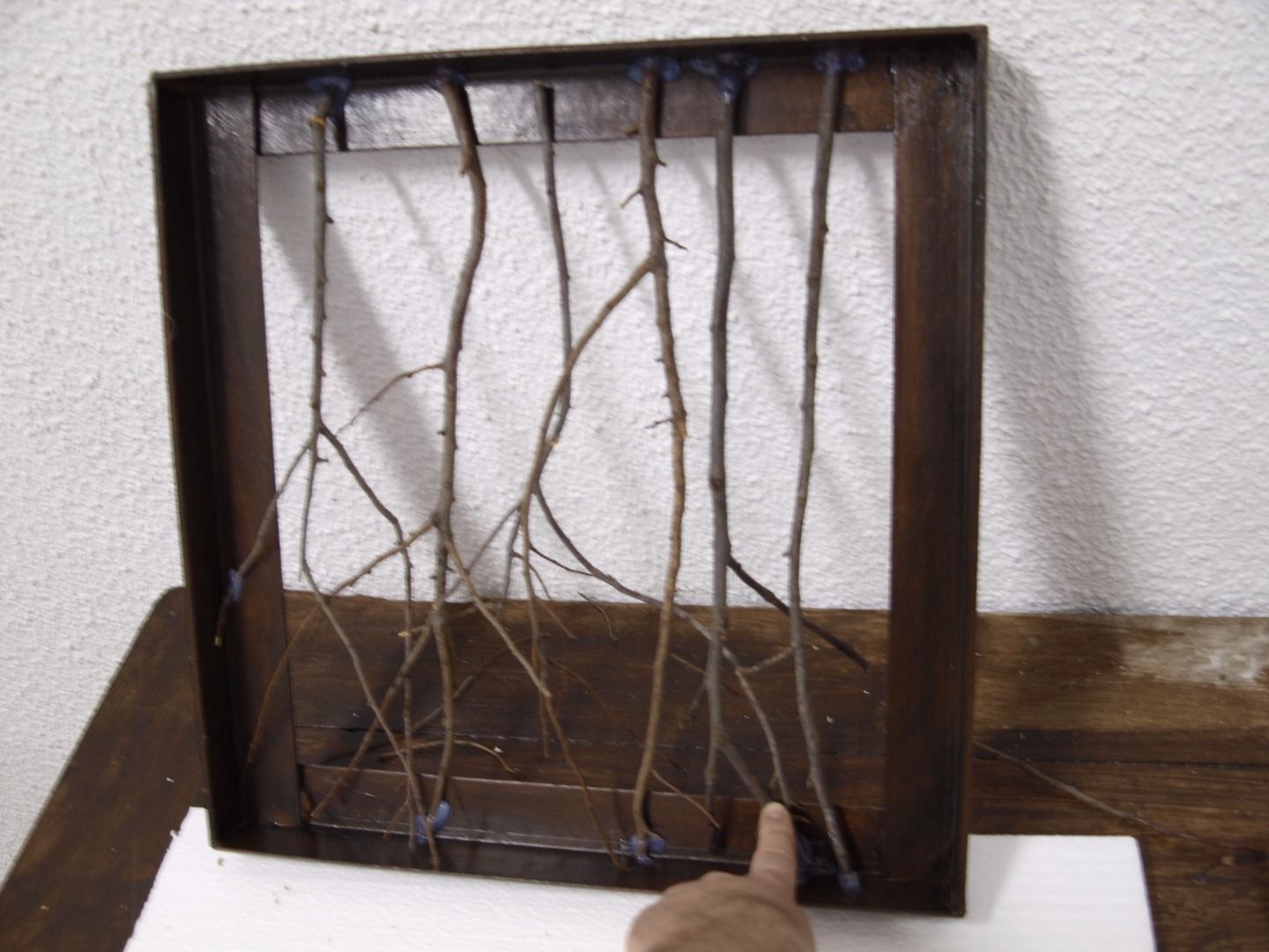 DIY Framed Tree Branches : 4 Steps (with Pictures) - Instructables