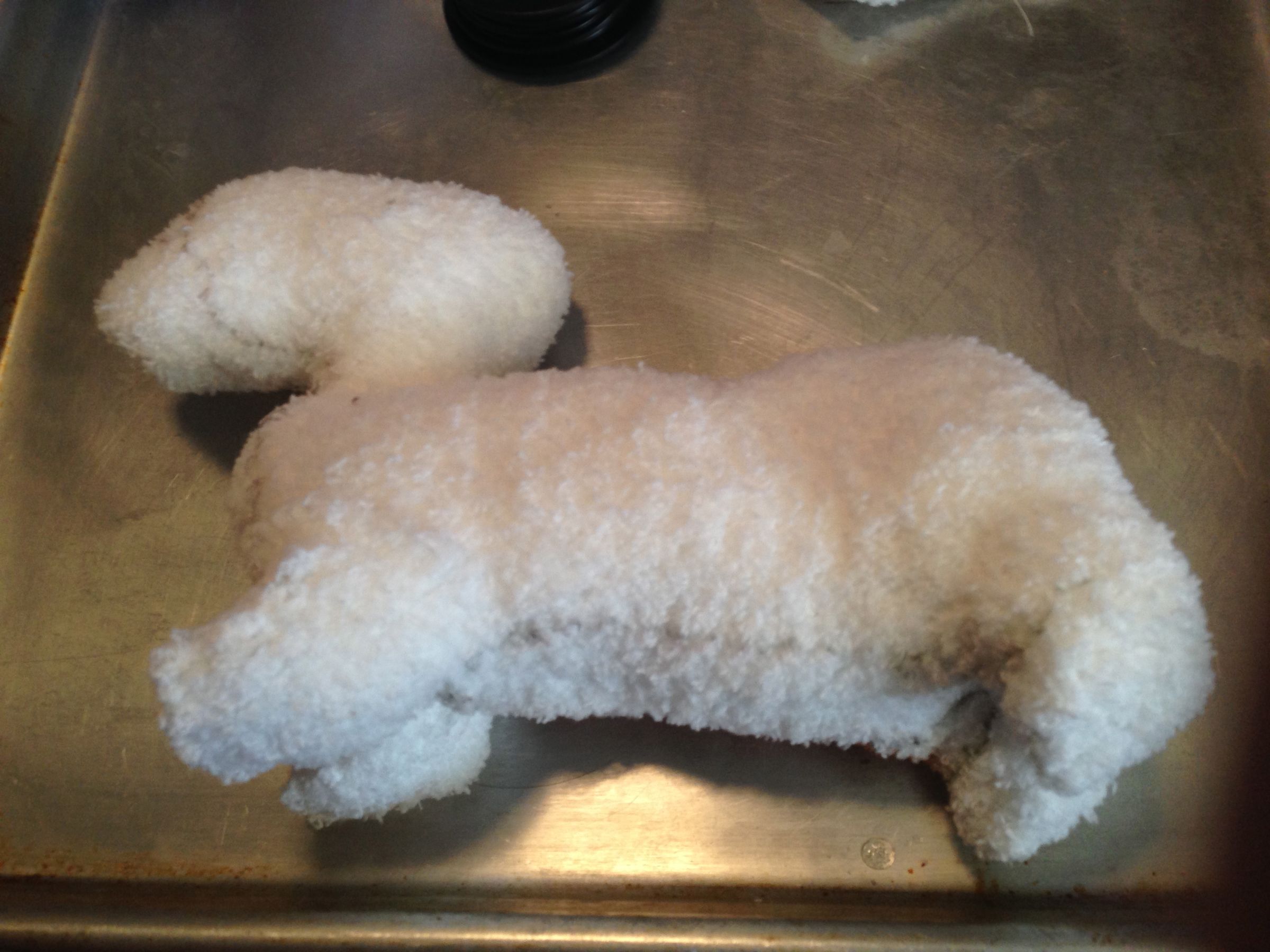 Sock Dog Tutorial (Corgi) : 3 Steps (with Pictures) - Instructables