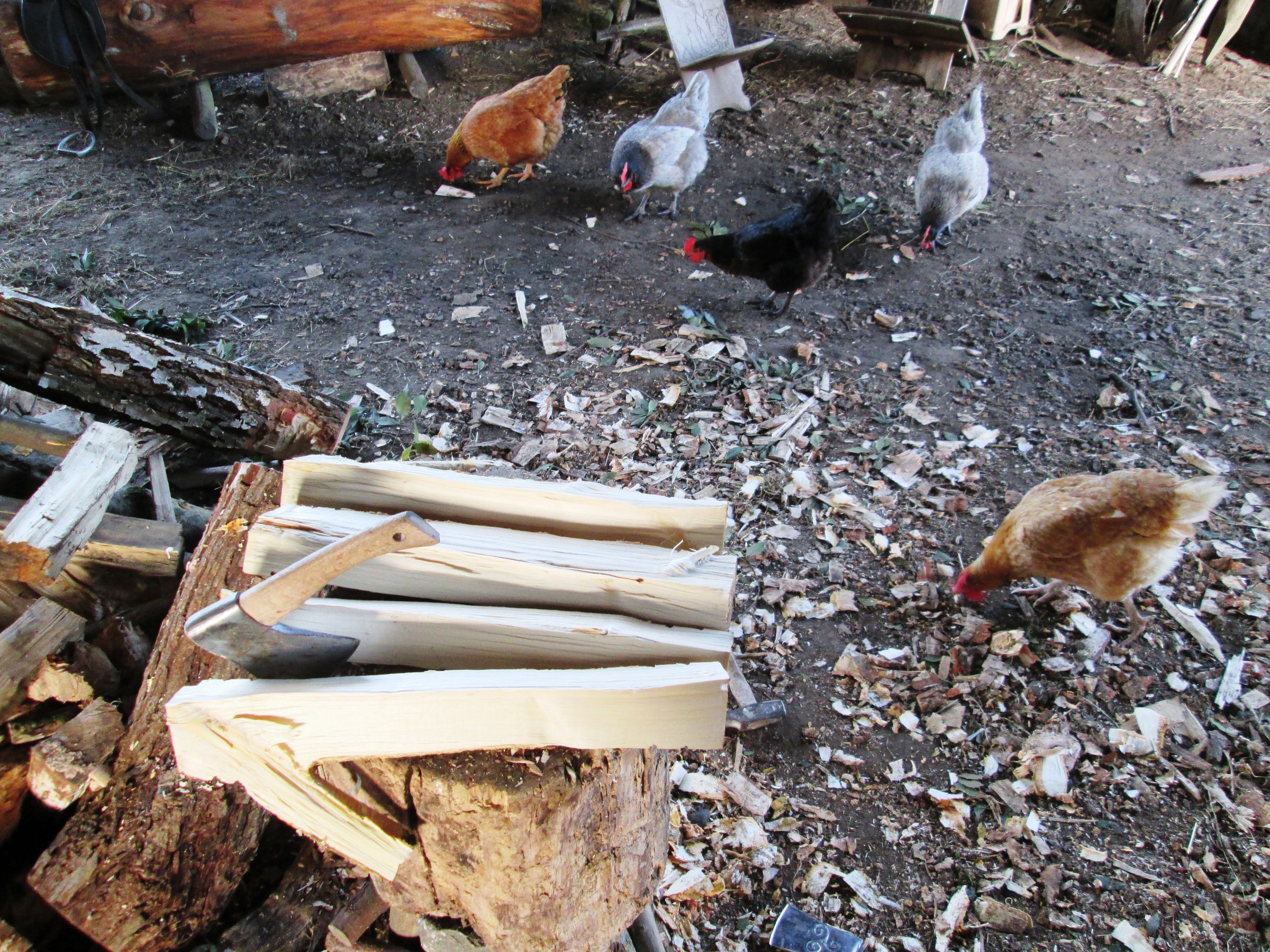 Handheld Tree Cannon - Nerf Style : 6 Steps (with Pictures) - Instructables