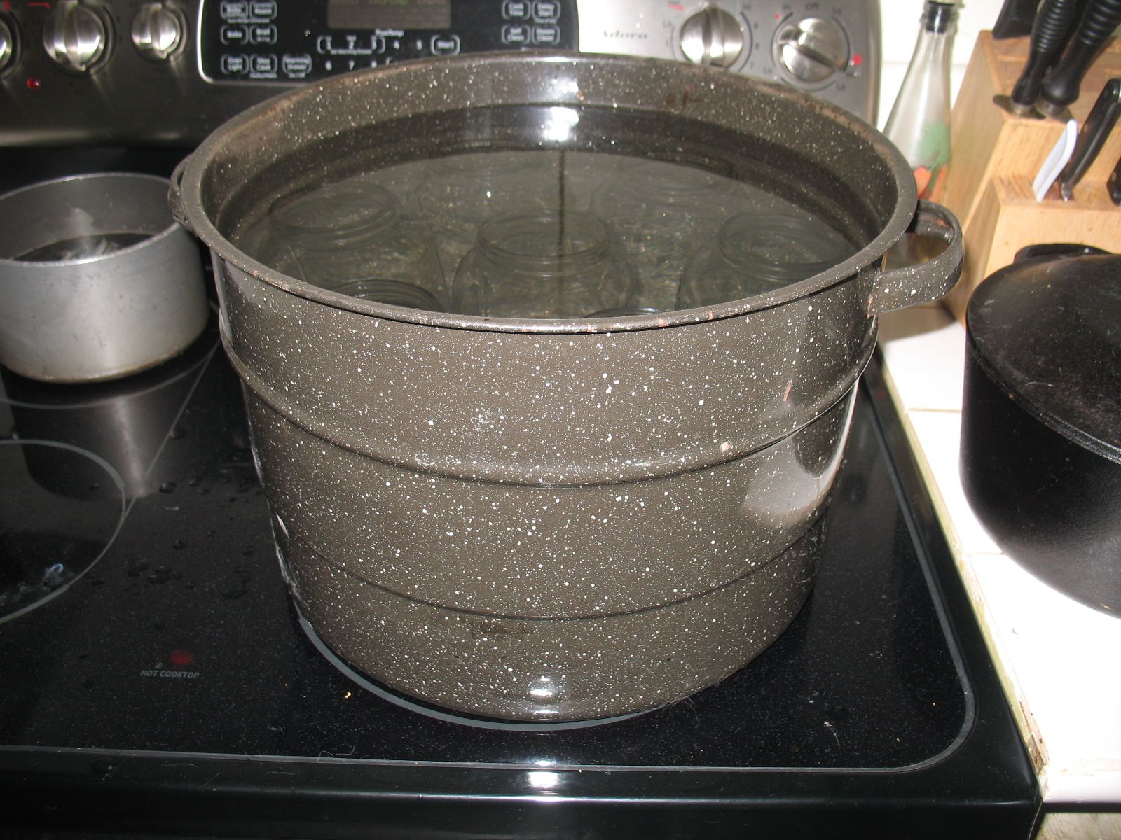 Trial and Error Dill Pickles : 5 Steps (with Pictures) - Instructables