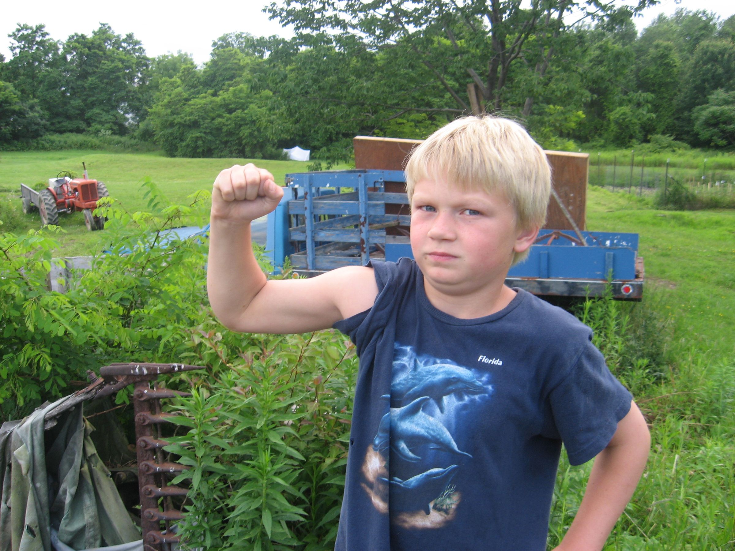 Denailing Lumber : 3 Steps (with Pictures) - Instructables