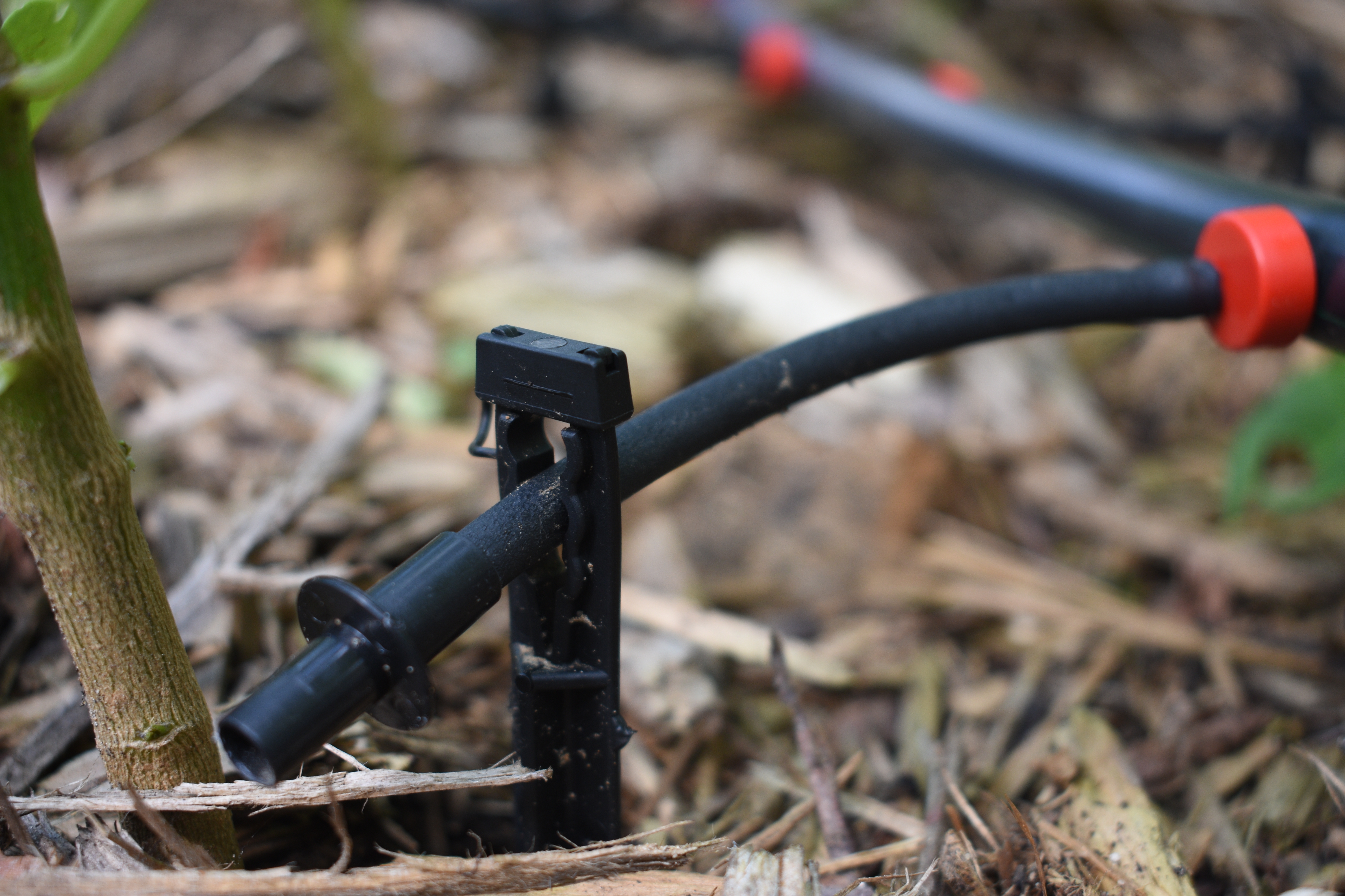 Automated Garden System Built on Raspberry Pi for Outdoors or Indoors ...