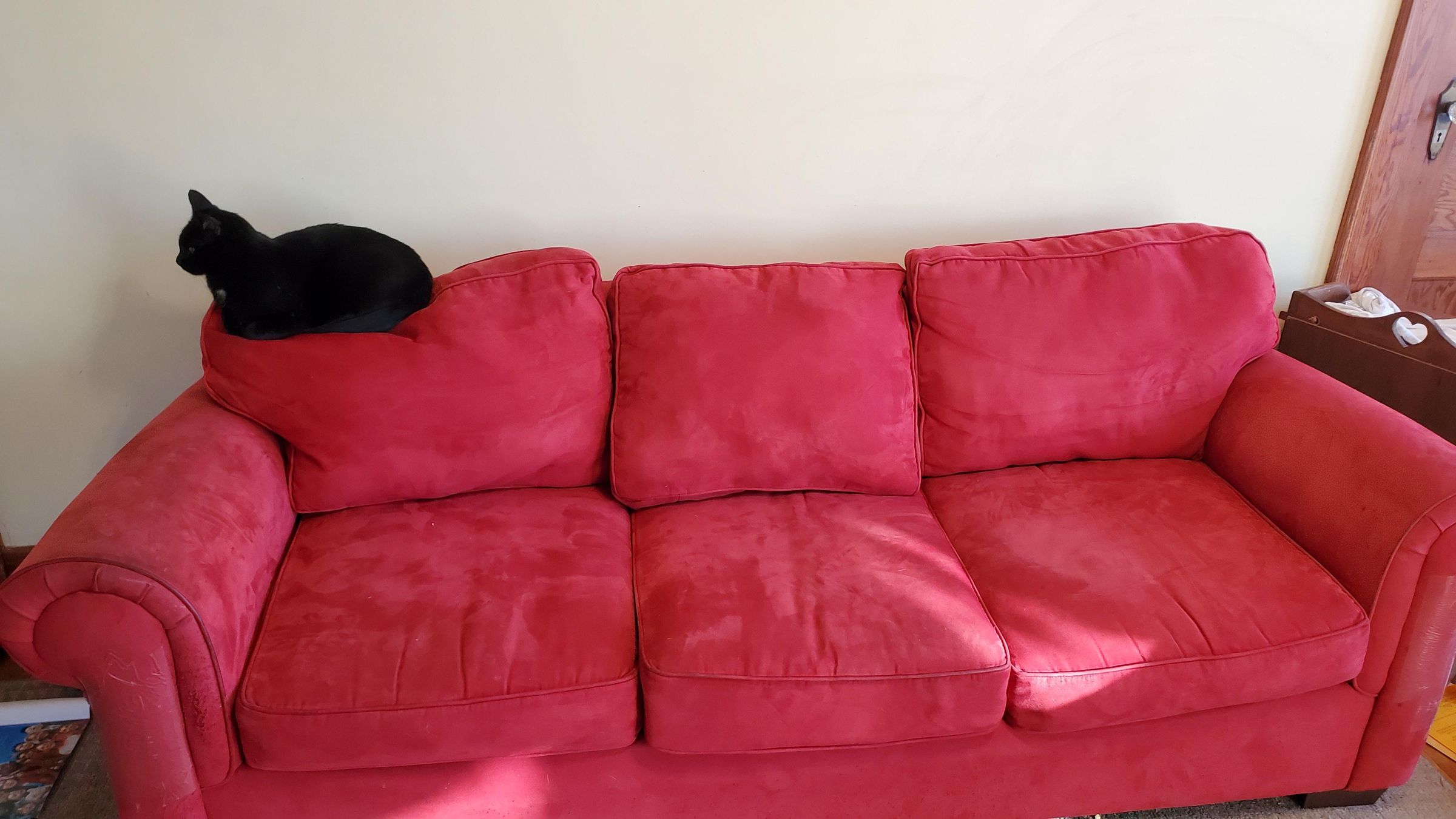 Couch Cushion Reform and Cat Sitting Deterrent : 3 Steps - Instructables