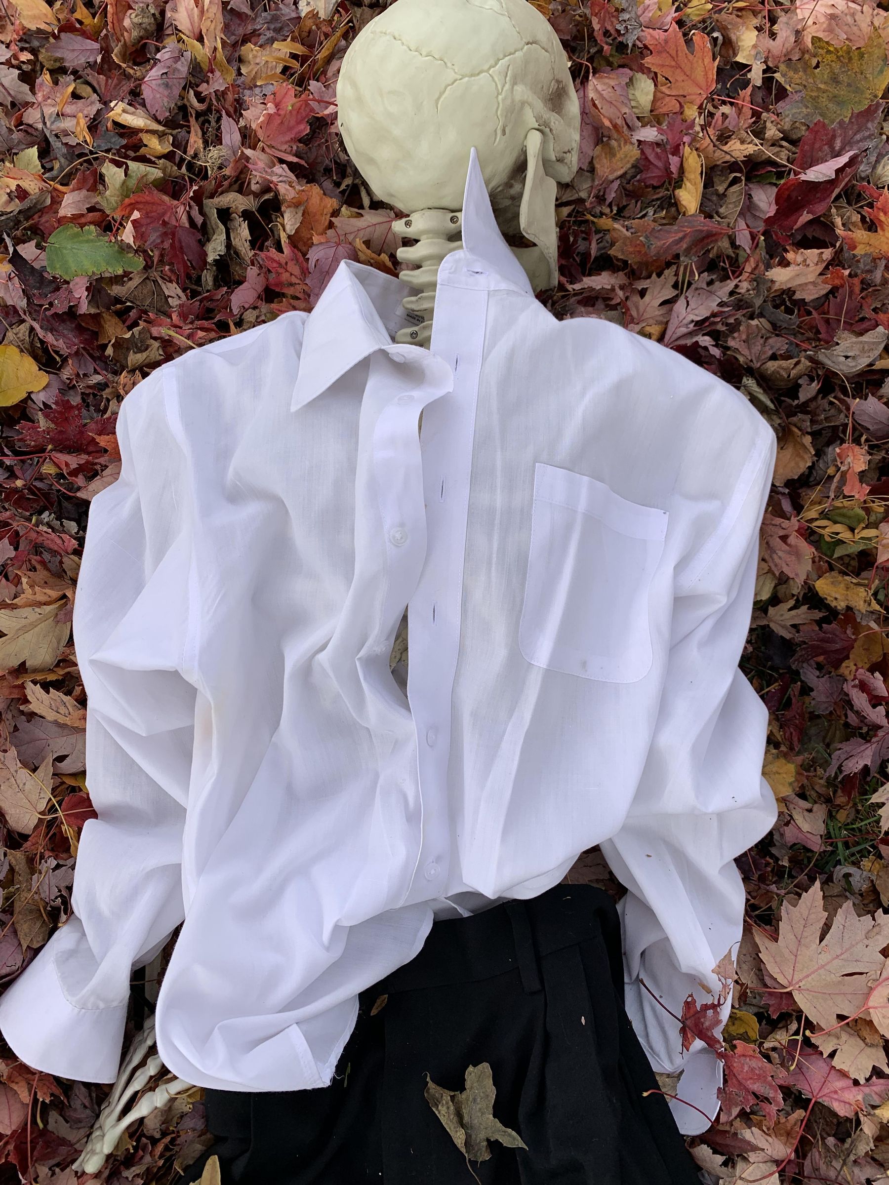 Skeleton Tea Party Decorations : 7 Steps (with Pictures) - Instructables