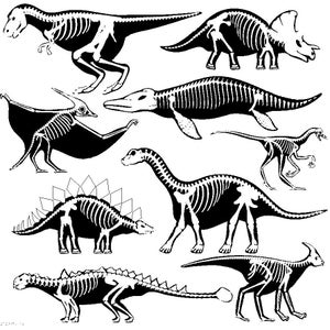 Stegosaurus Puzzle : 7 Steps (with Pictures) - Instructables