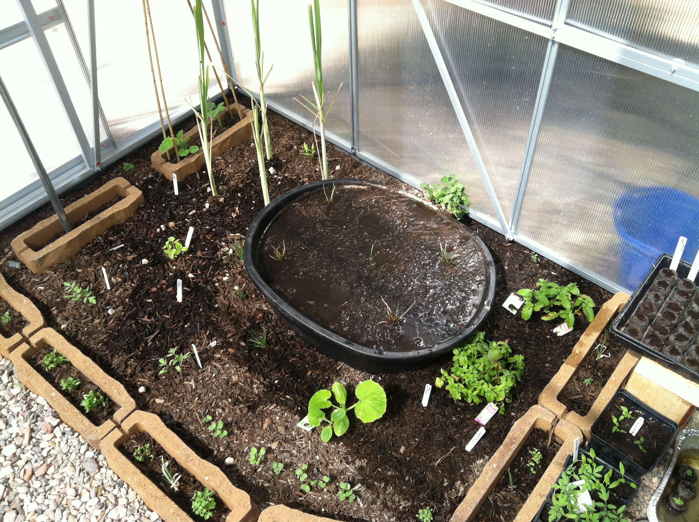 Greenhouse Modifications for Hot Climates : 8 Steps (with Pictures ...