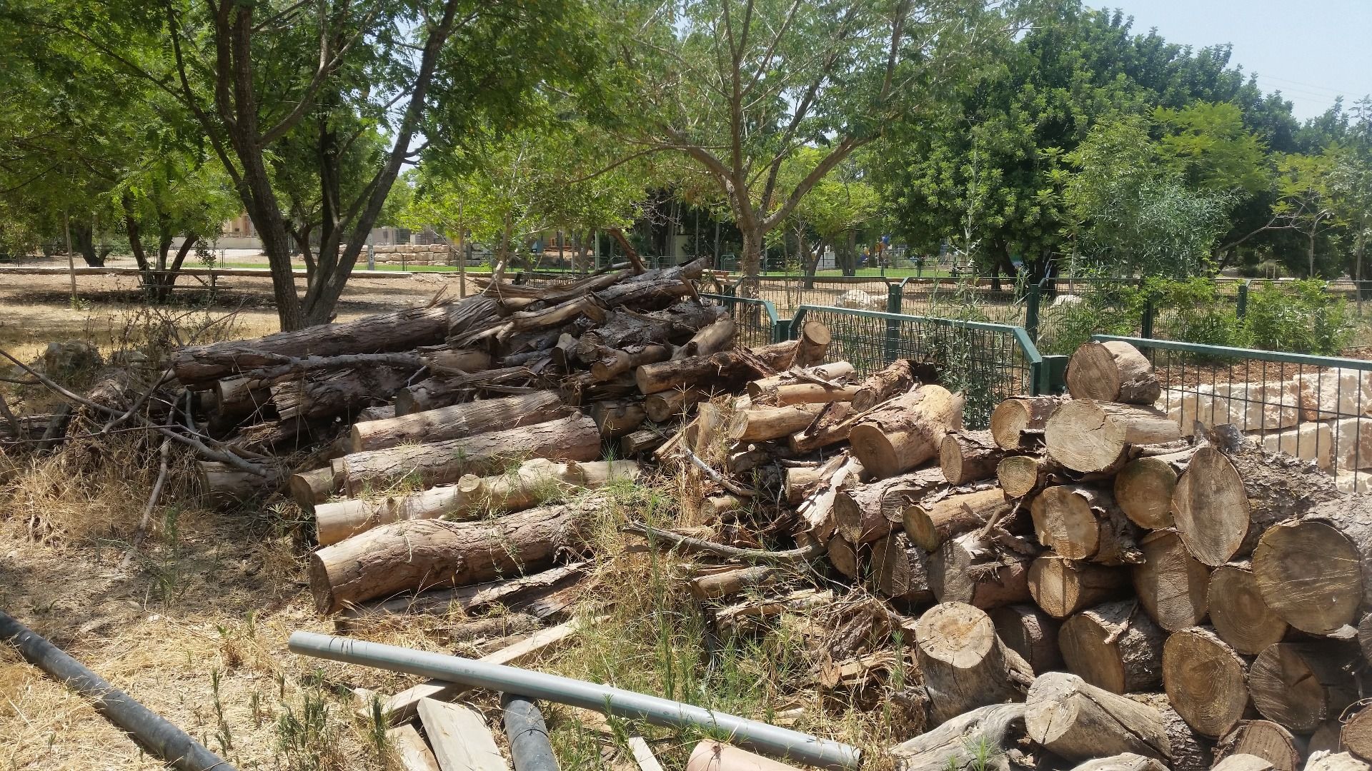 Wooden Log Sign : 5 Steps (with Pictures) - Instructables